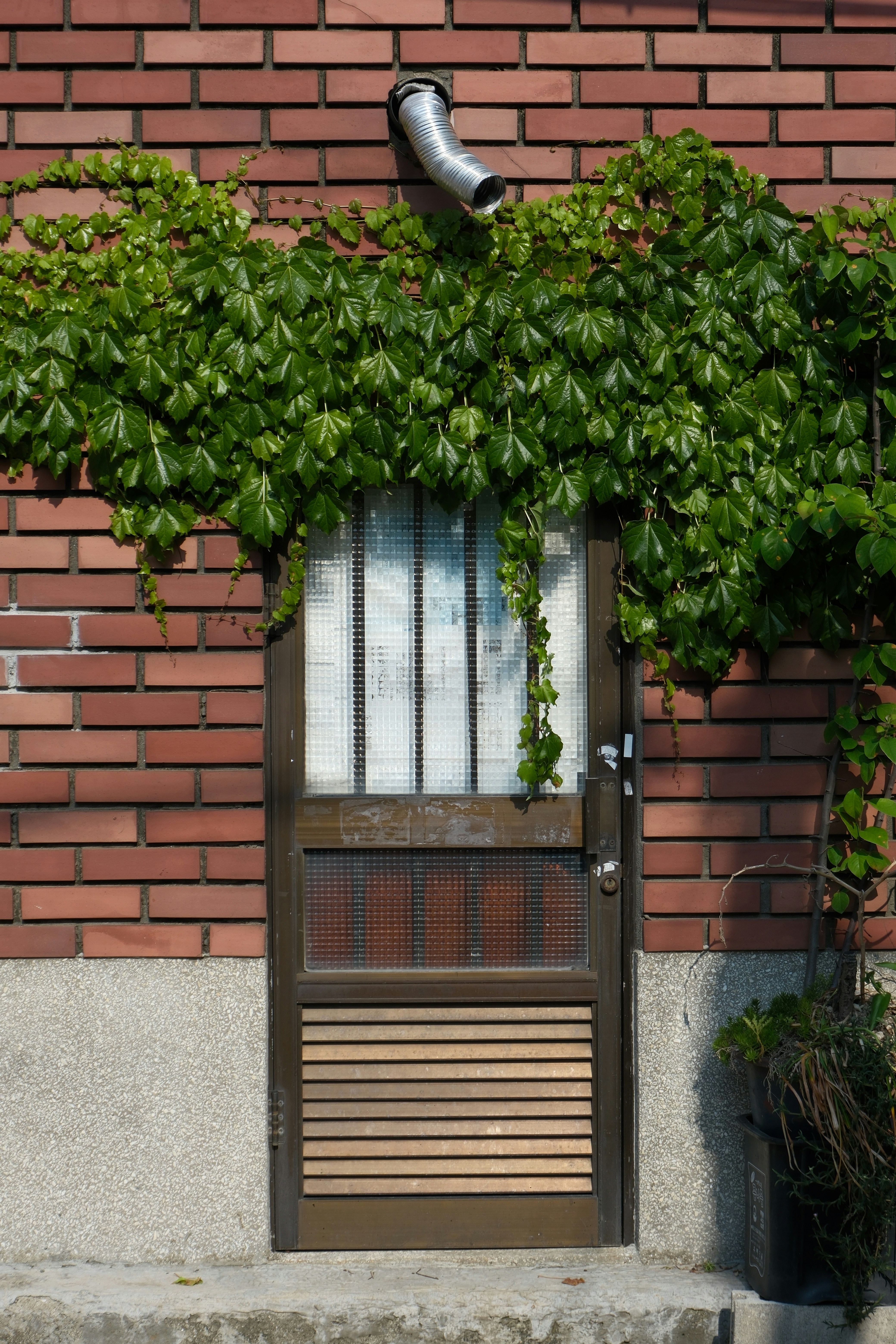 Nature's Embrace: The Verdant Doorway