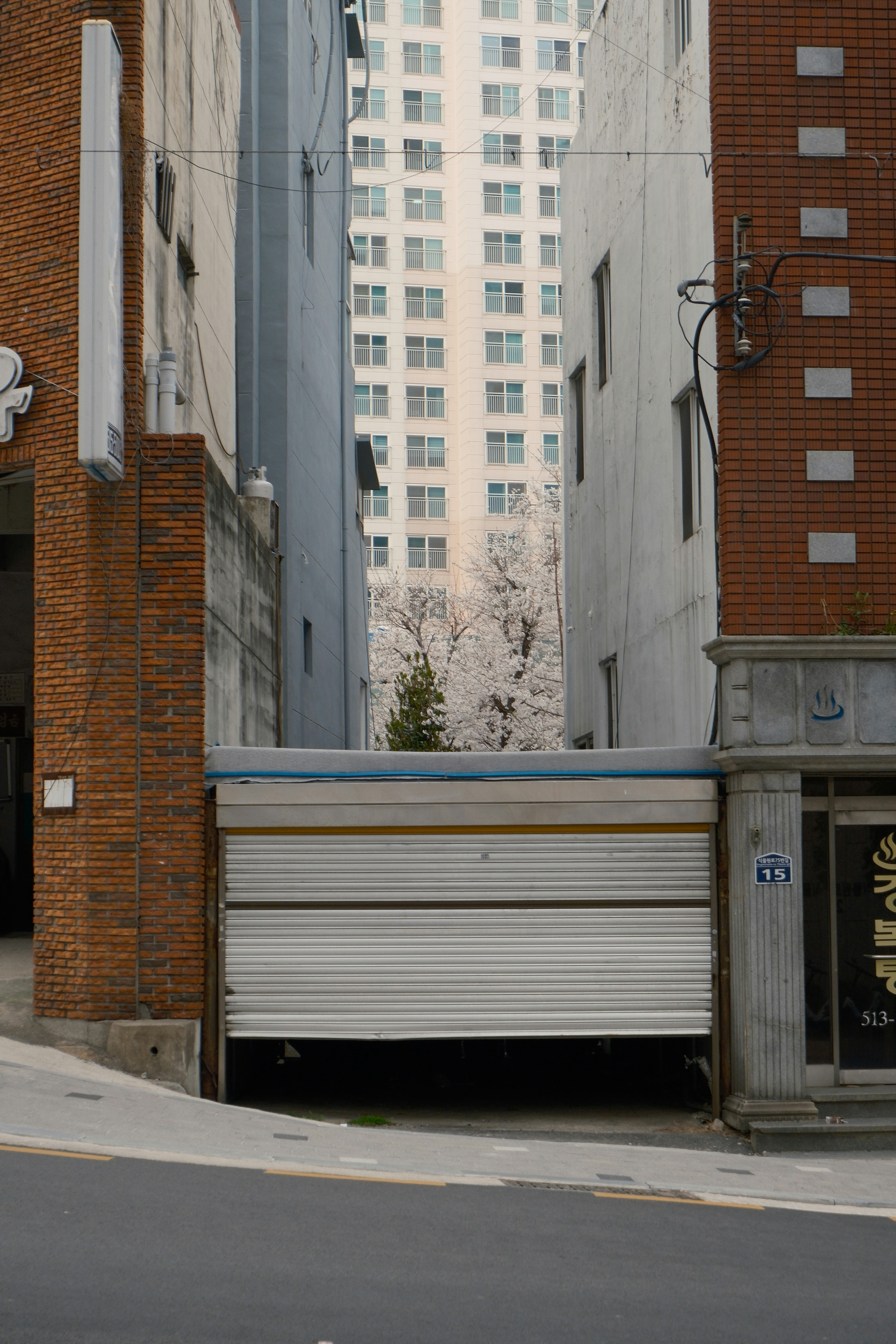 A narrow urban alleyway framed by brick and concrete buildings, revealing a hint of cherry blossoms in the background. The scene captures the contrast between nature and urban architecture.