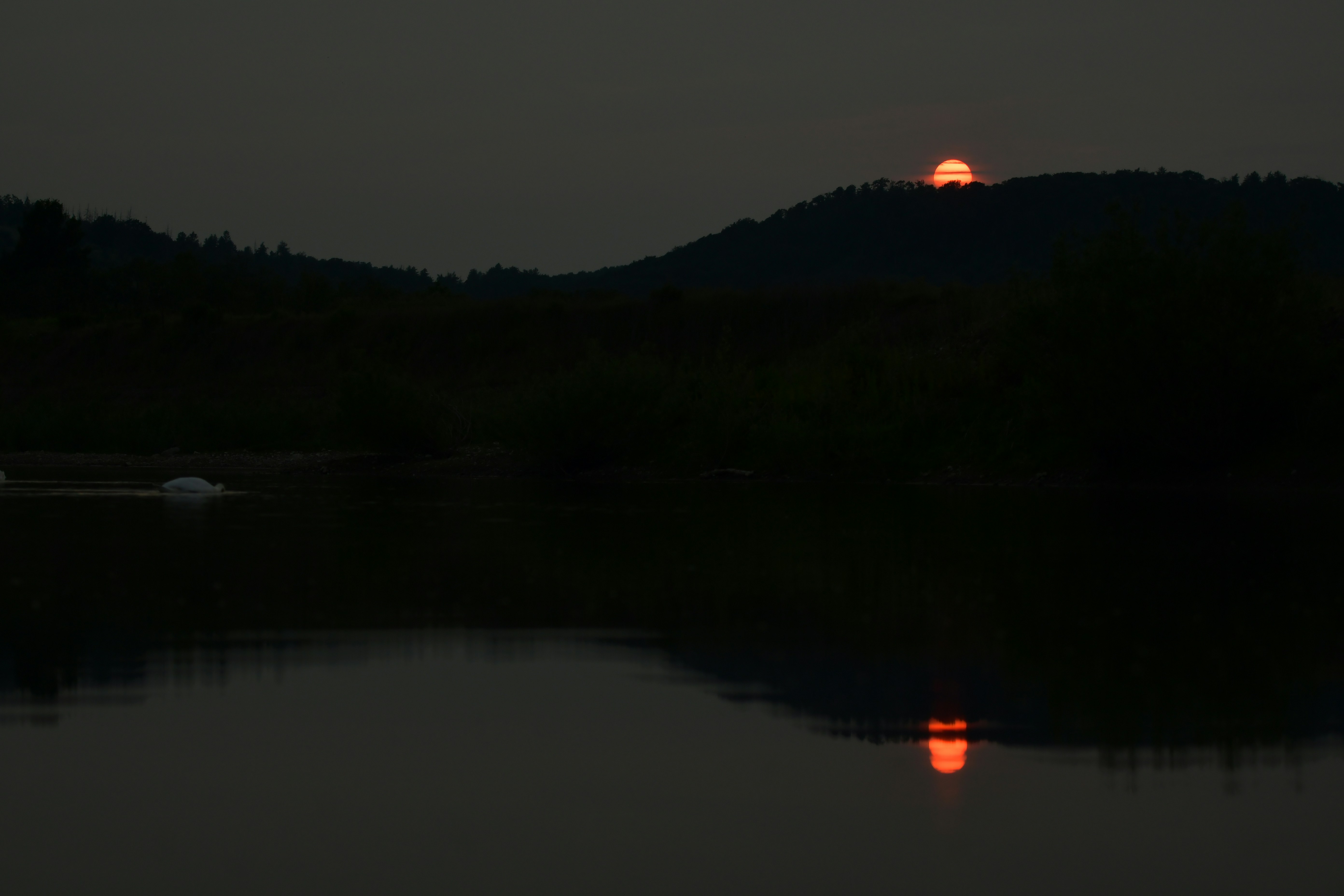 Twilight's Embrace: The Sun's Final Bow