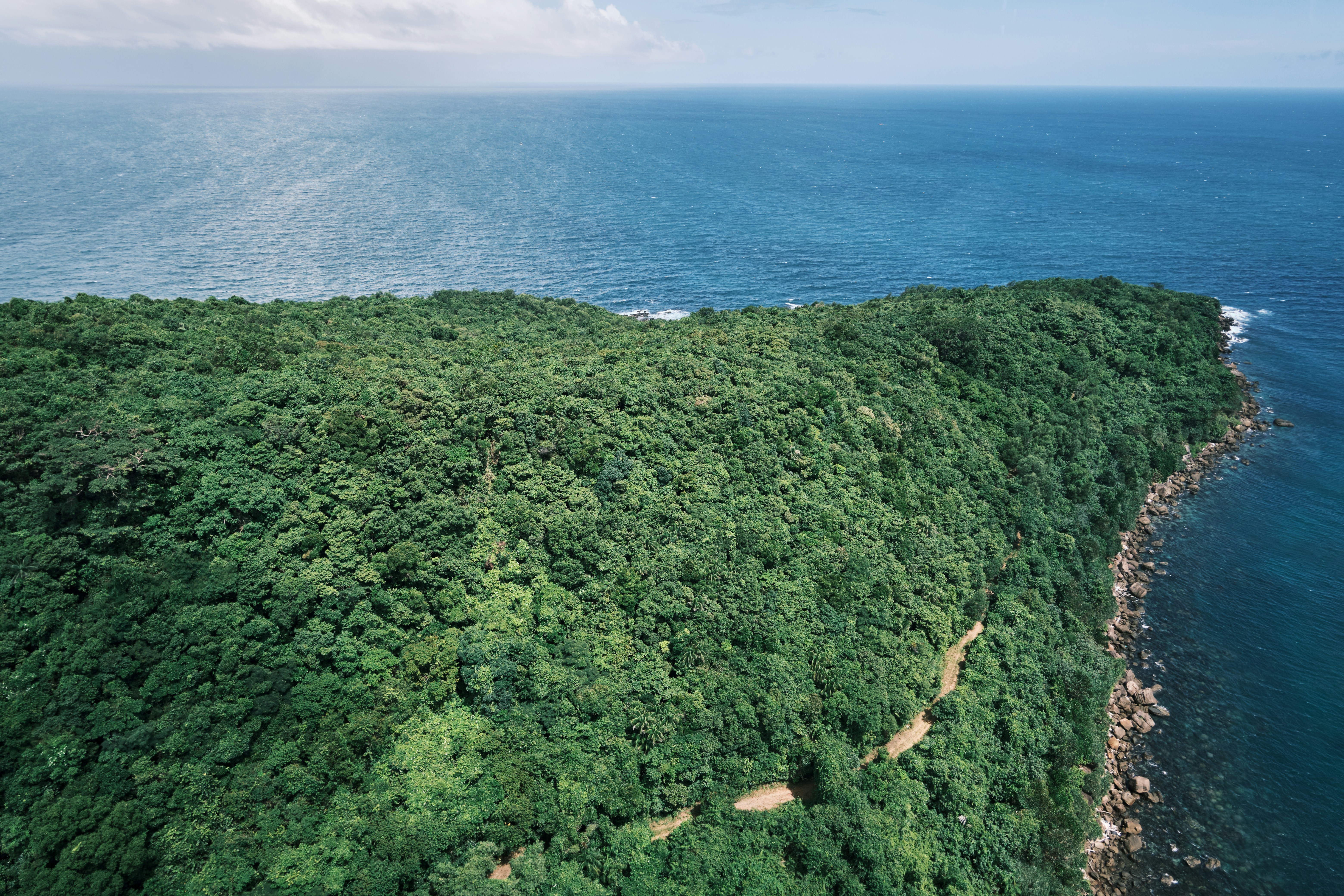 Emerald Coastline: A Lush Embrace of Land and Sea