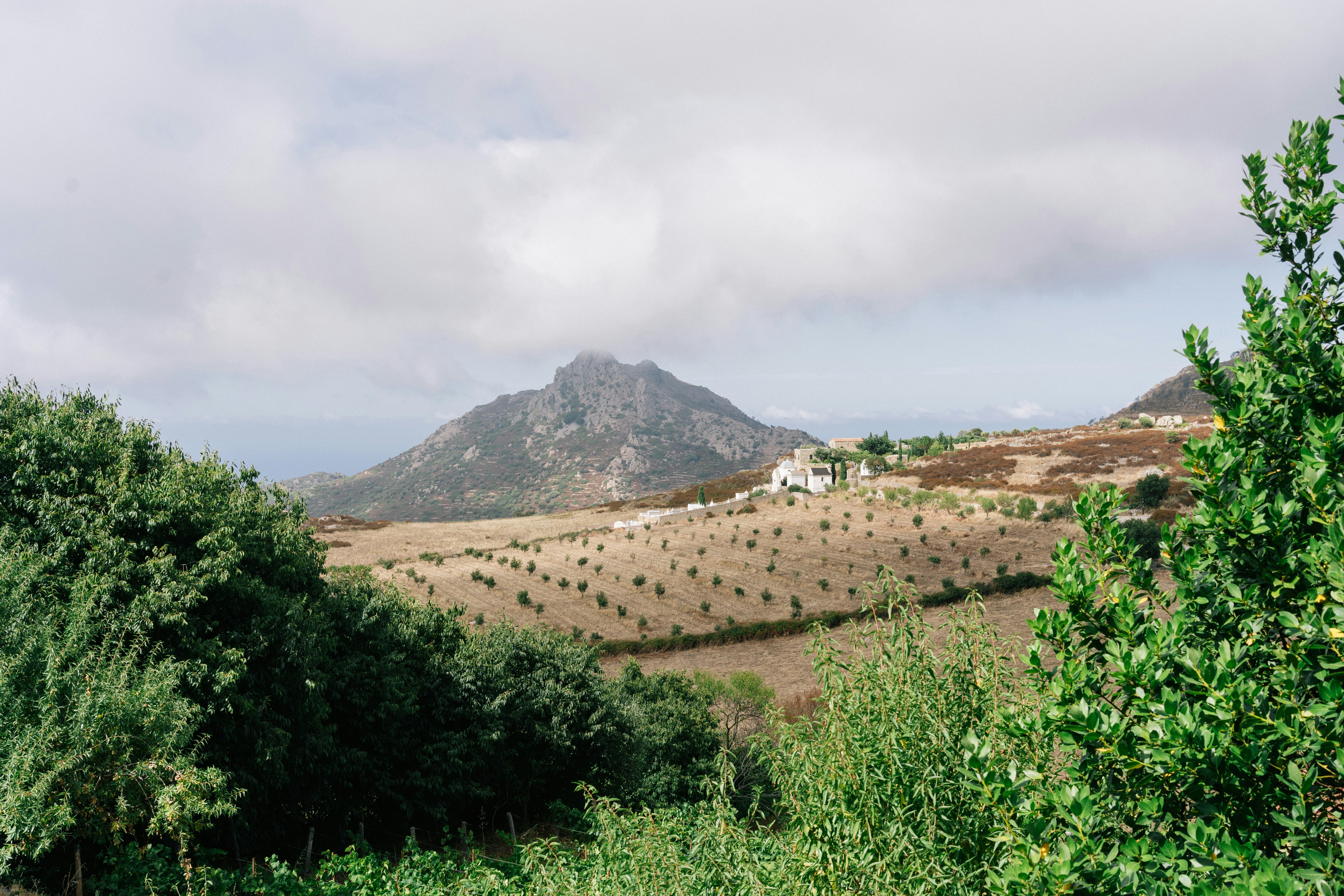 Mountain landscape with trees and fields under cloudy sky