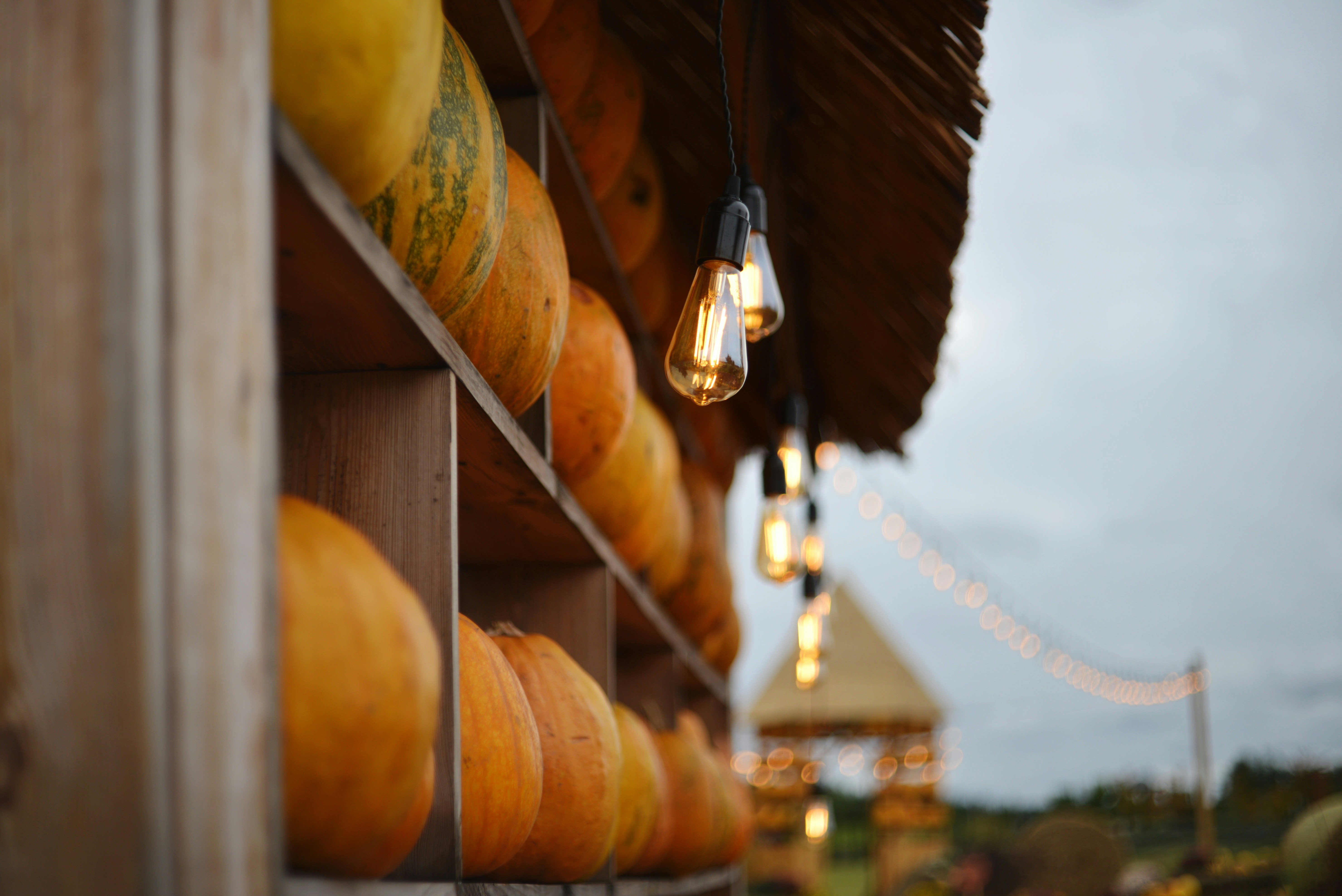 Harvest Glow: A Rustic Display of Autumn's Bounty