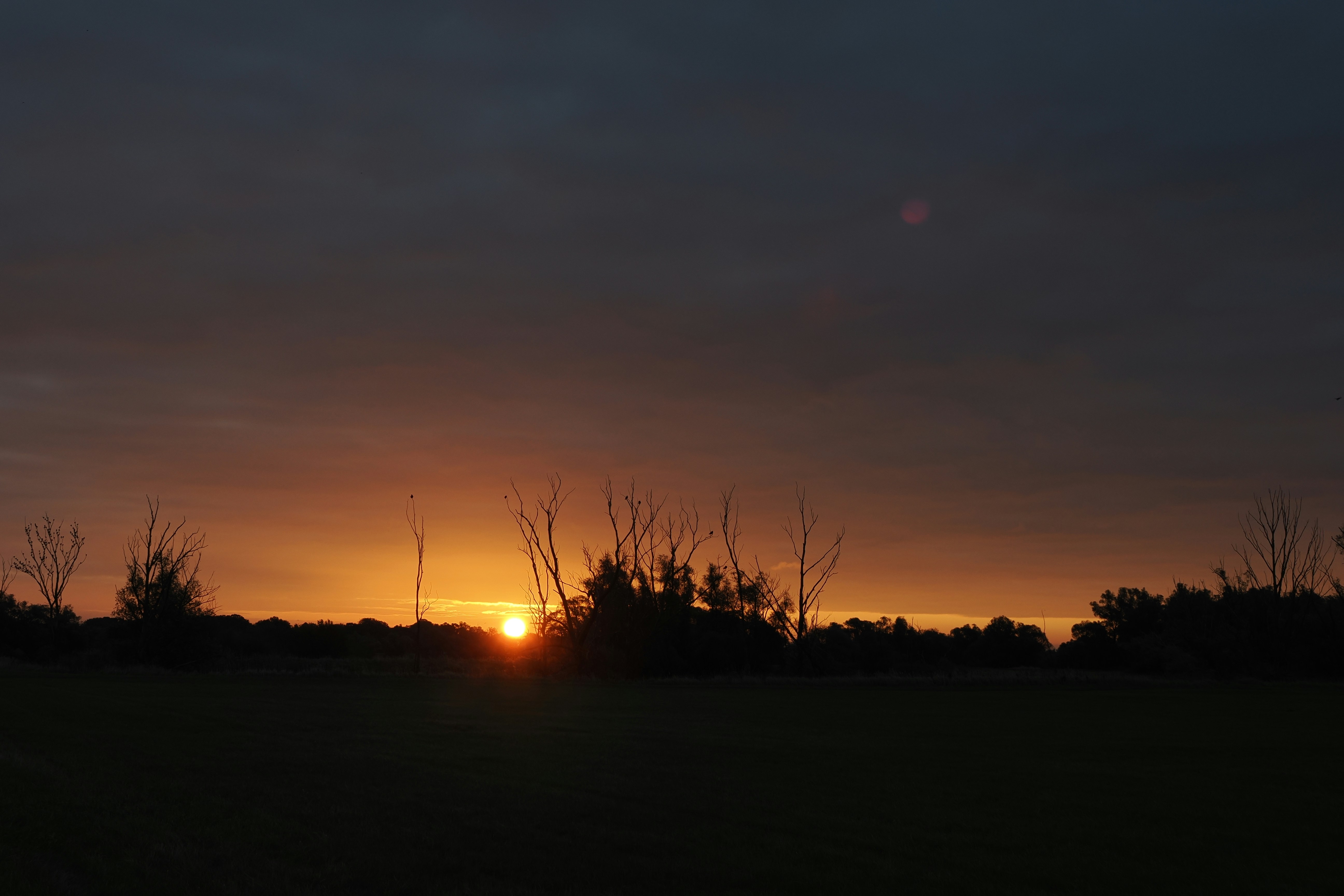 Sonnenaufgang an der Elbe | Sunset over a dark landscape with trees
