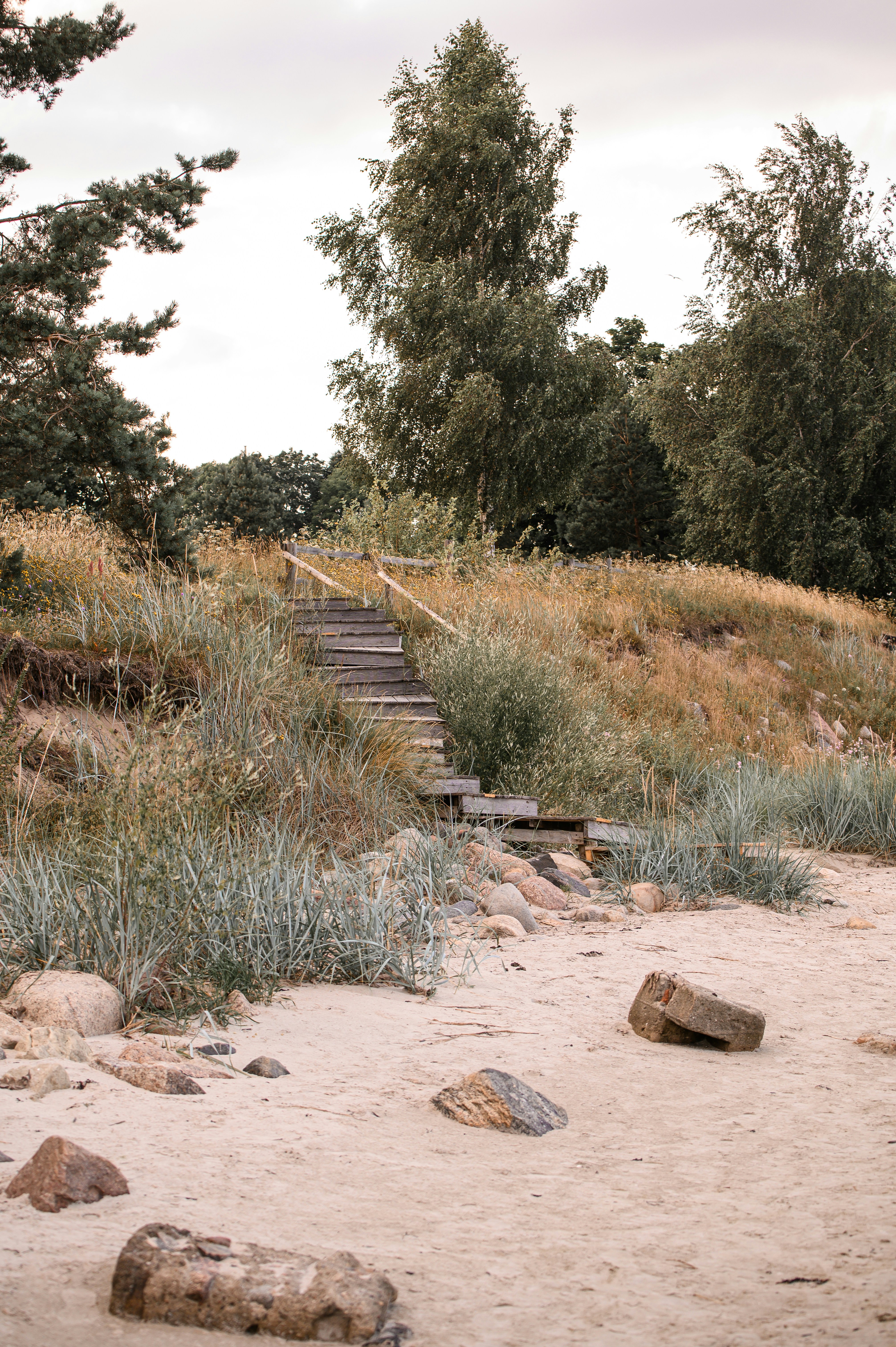 Wooden steps lead through lush grass and trees towards a sandy beach, inviting exploration and tranquility.