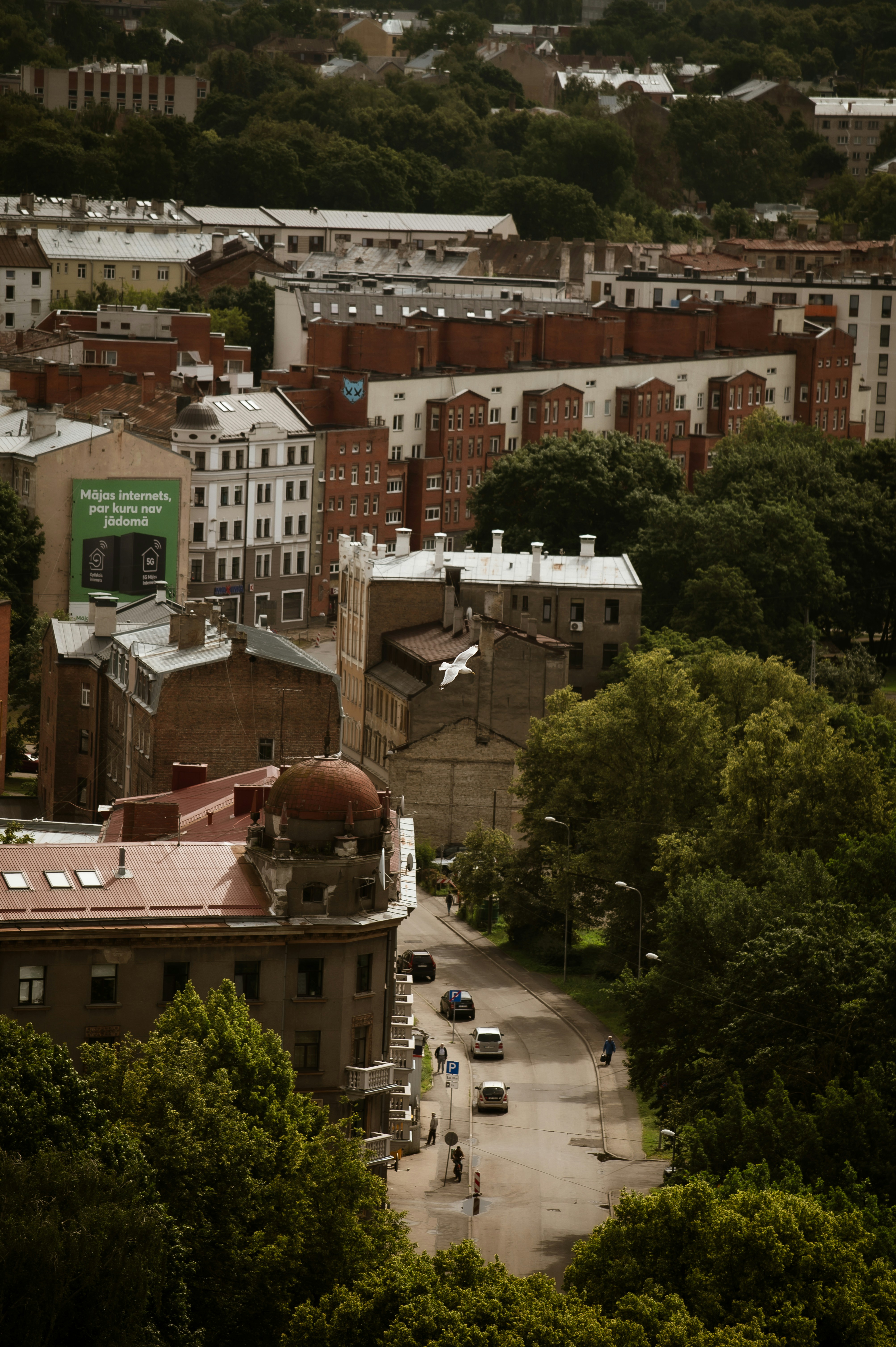 Urban Serenity: A Glimpse of City Life from Above