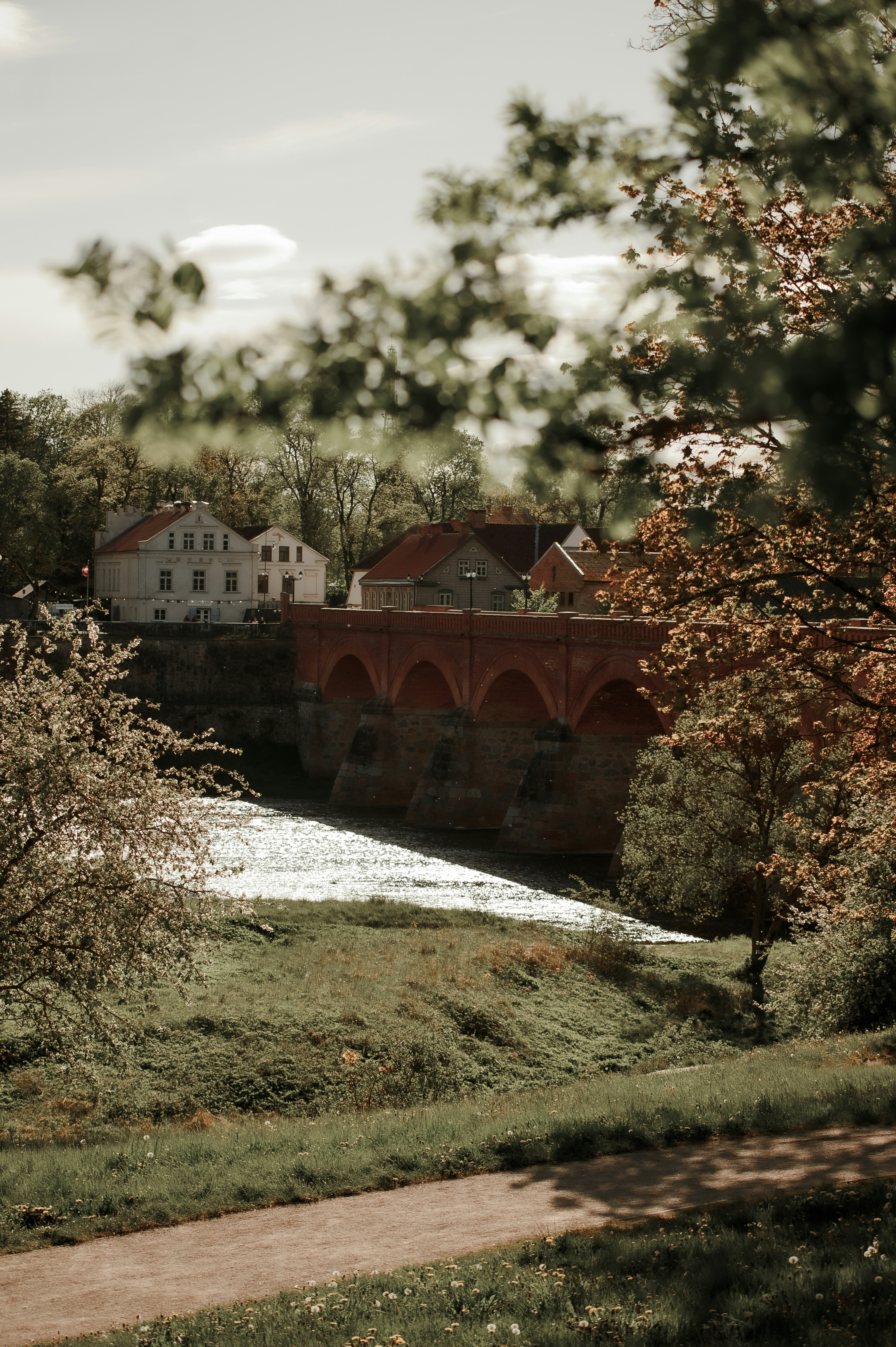 Bridging Nature and Architecture