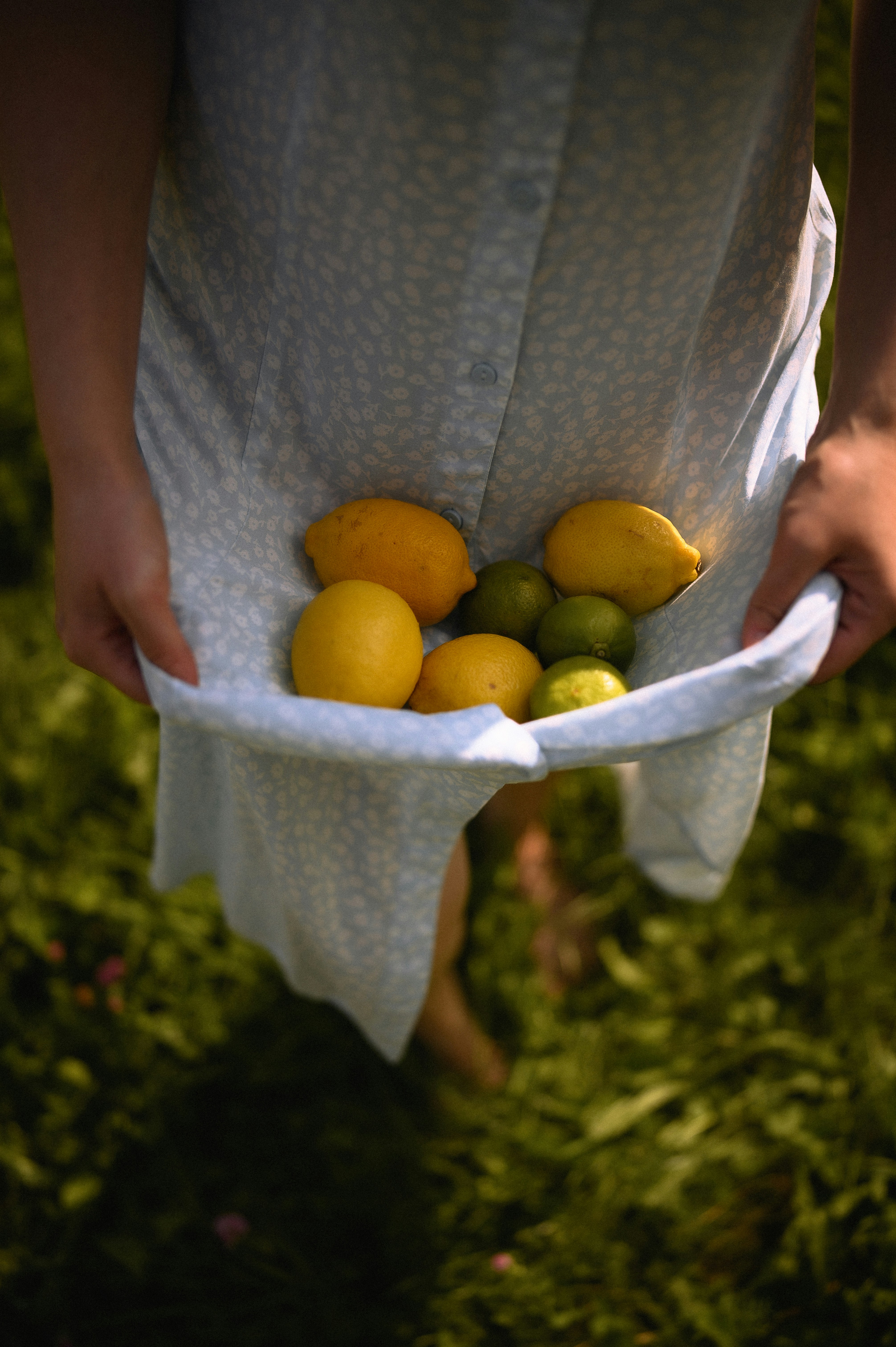 A person gathers a mix of lemons and limes in the fabric of their dress, surrounded by lush greenery.