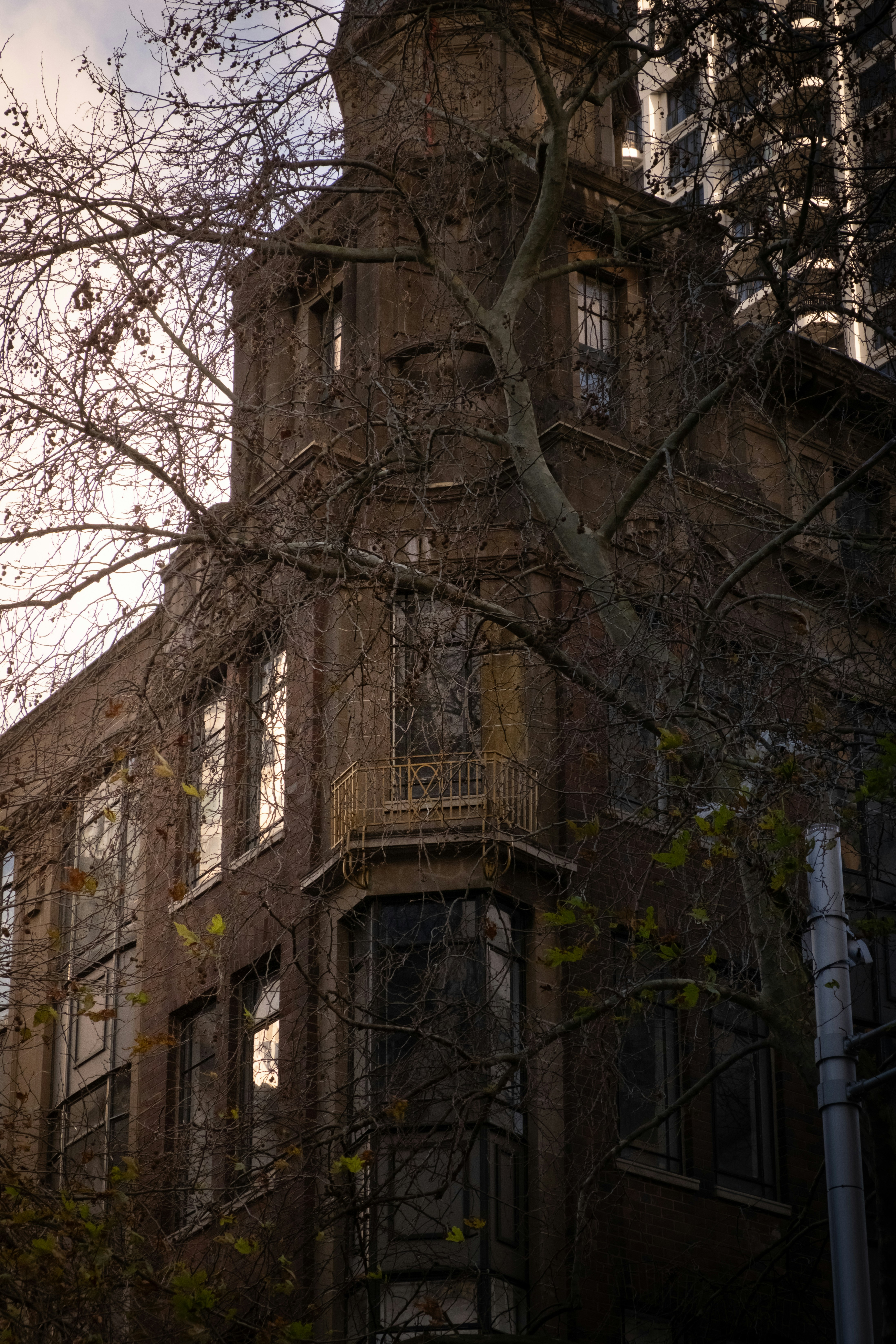 An ornate, weathered building partially obscured by bare branches, showcasing intricate architectural details against a backdrop of modern skyscrapers.