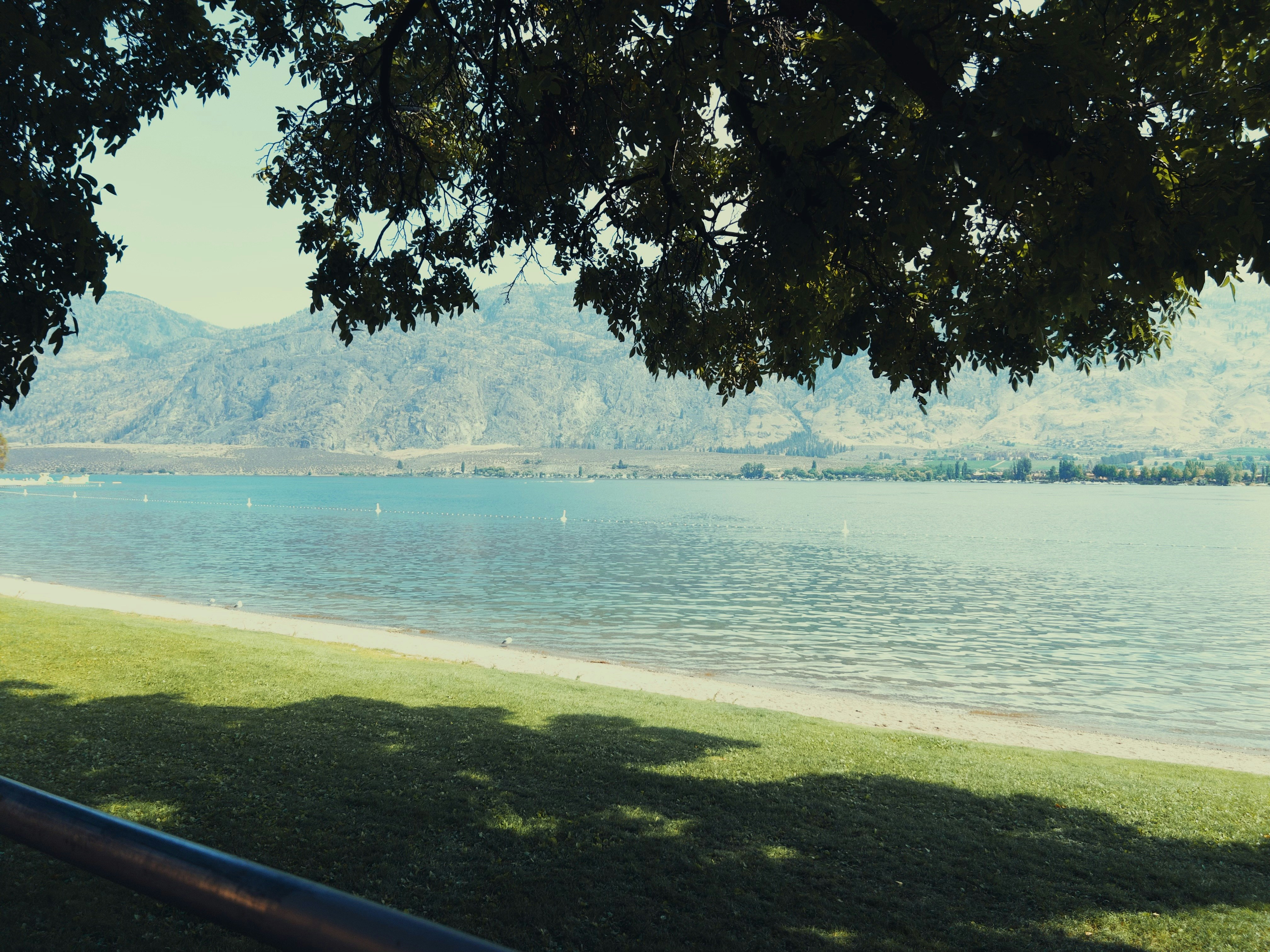 Calm lake with distant mountains viewed through trees.