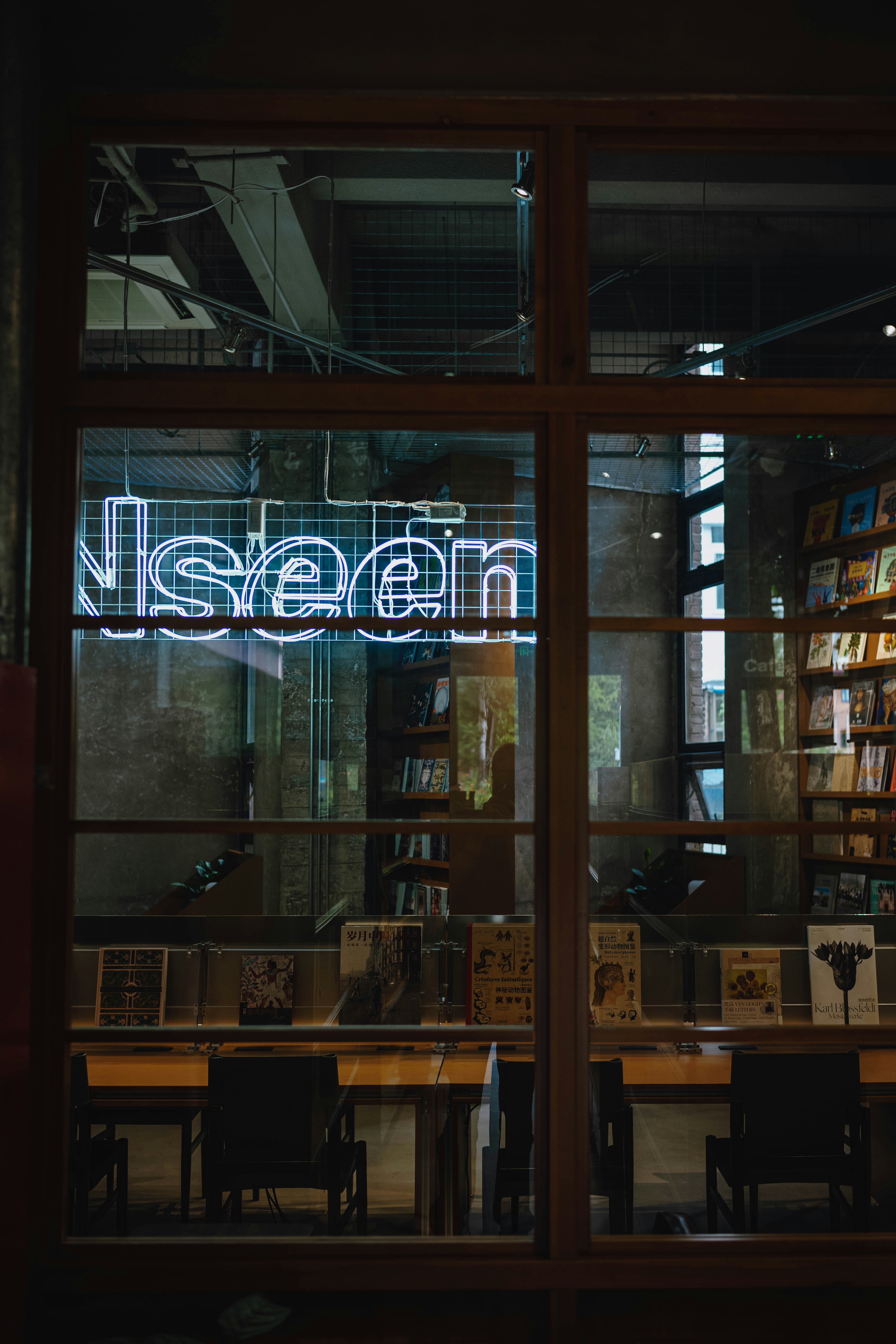 A Glimpse into Literary Haven