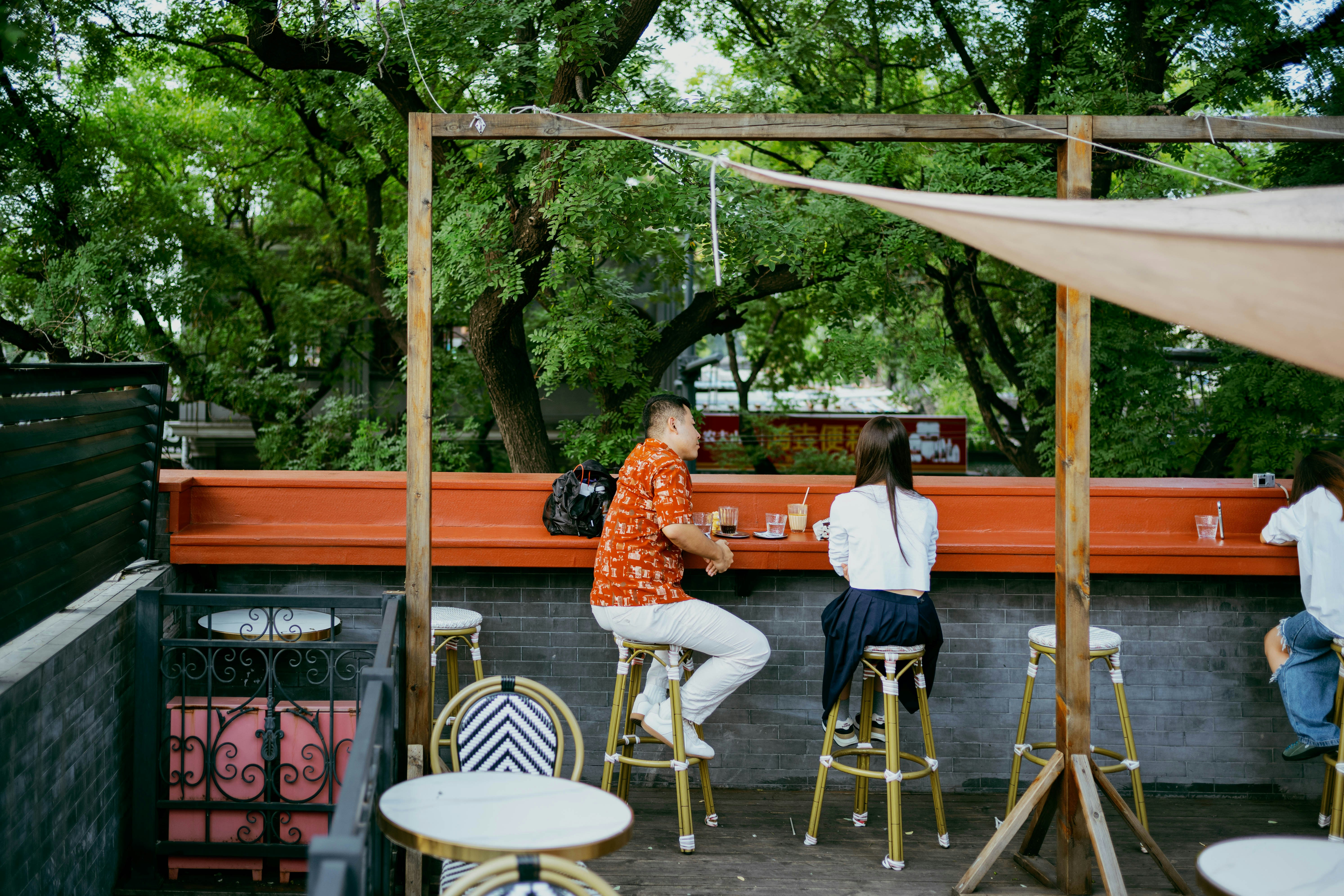 Urban Oasis: Conversations Under the Canopy