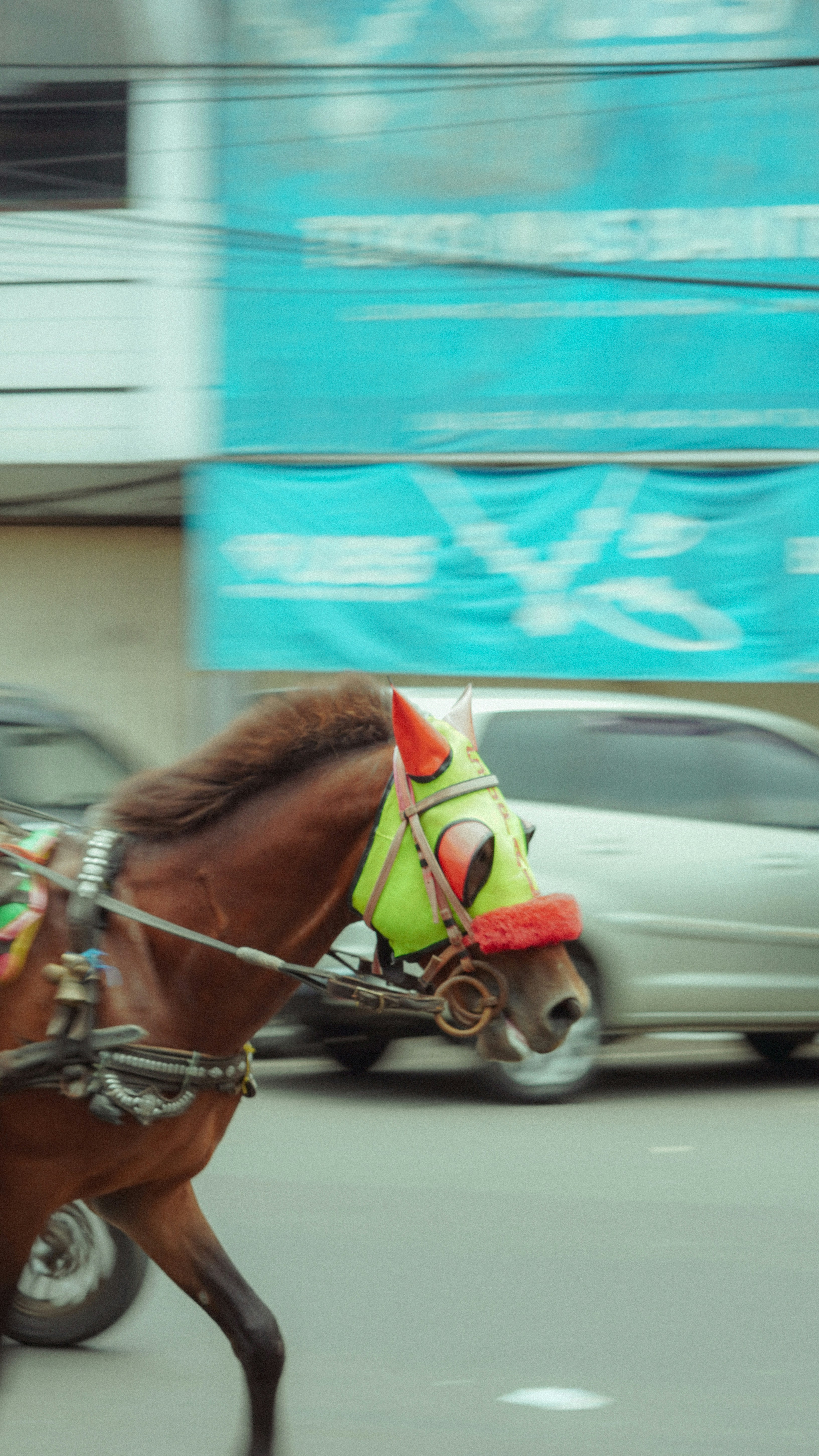 A vibrant horse adorned with a colorful mask gallops through a bustling street, capturing the essence of lively urban culture.