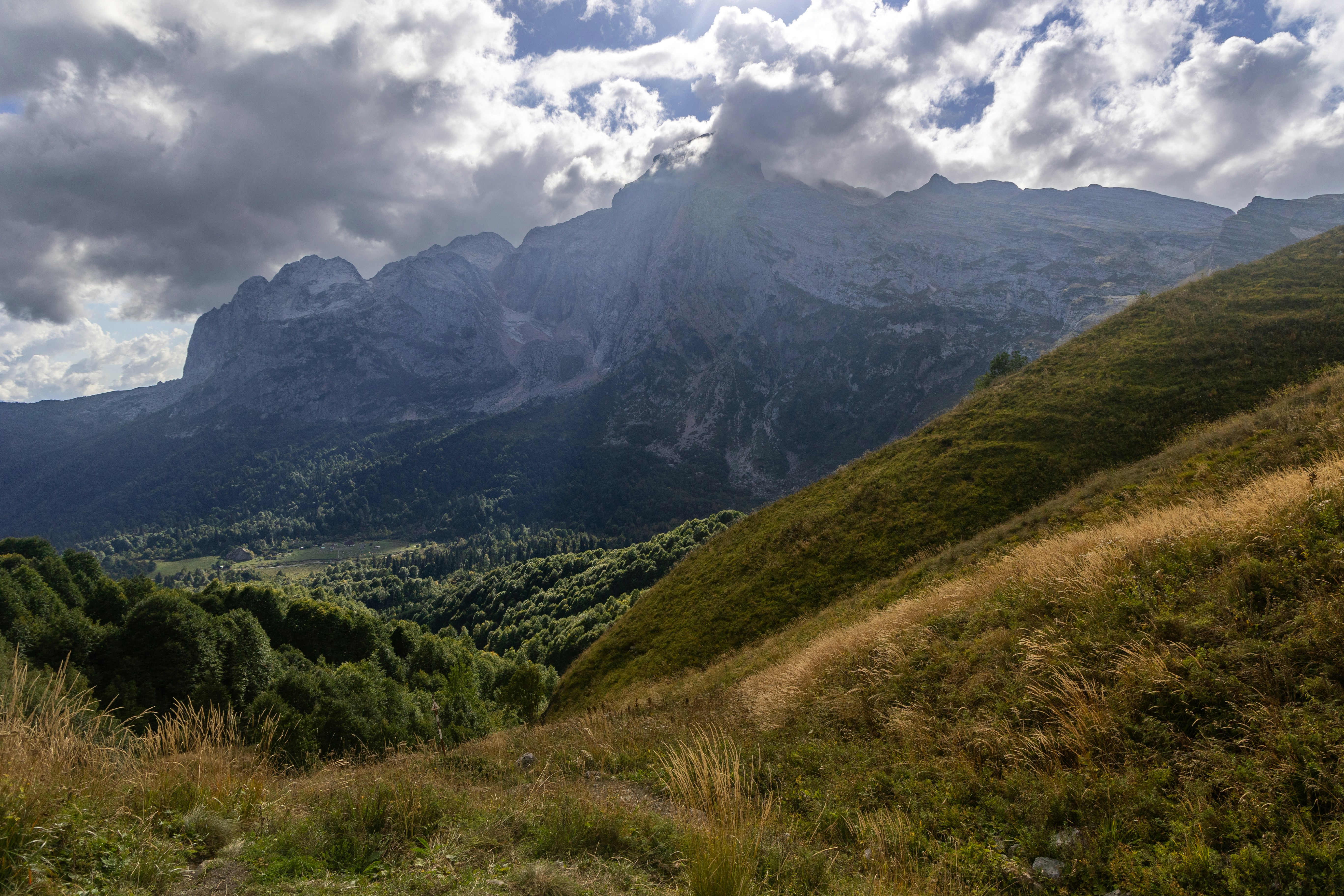 Whispers of the Alpine Majesty