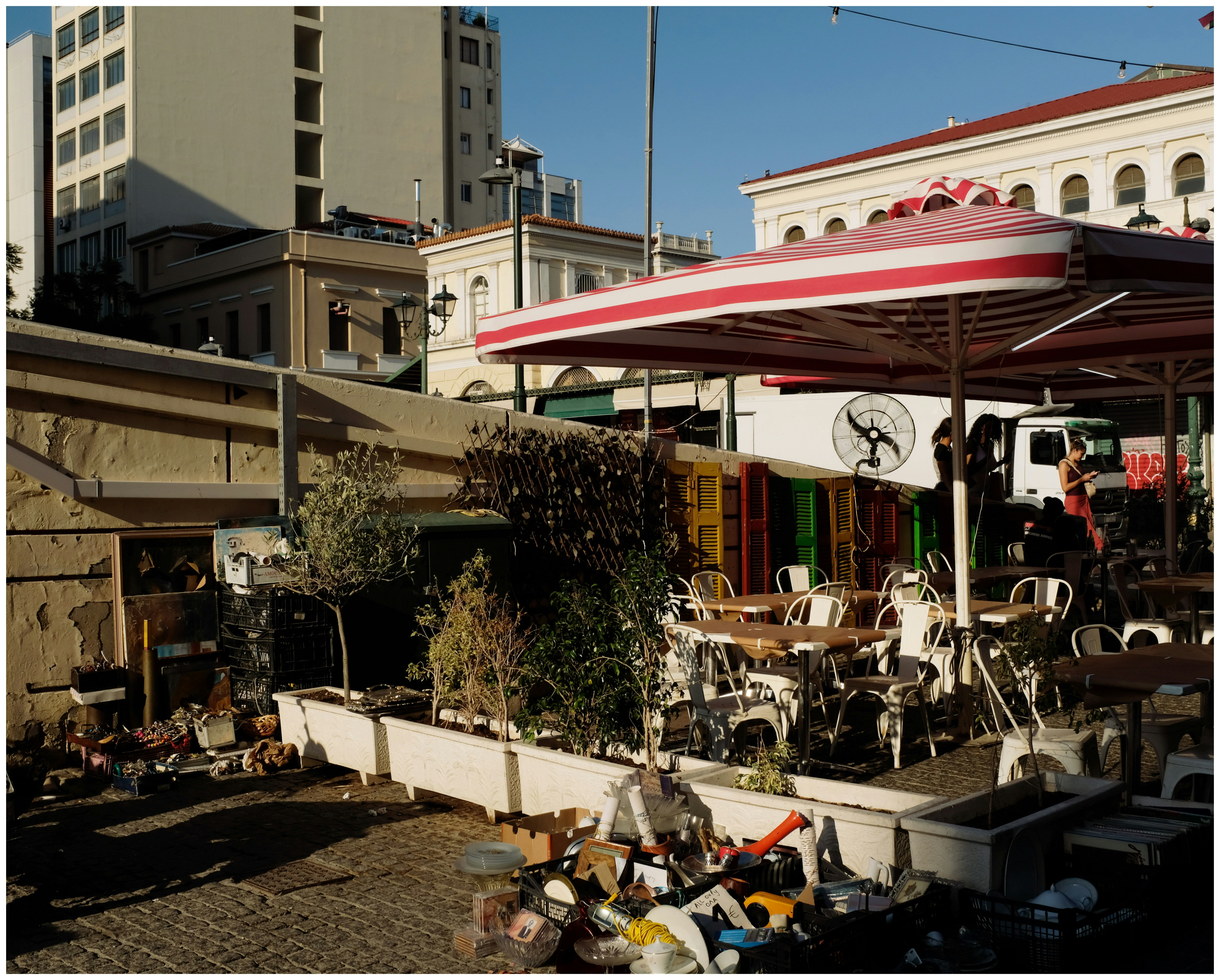 Urban Oasis: A Hidden Gem in the Cityscape