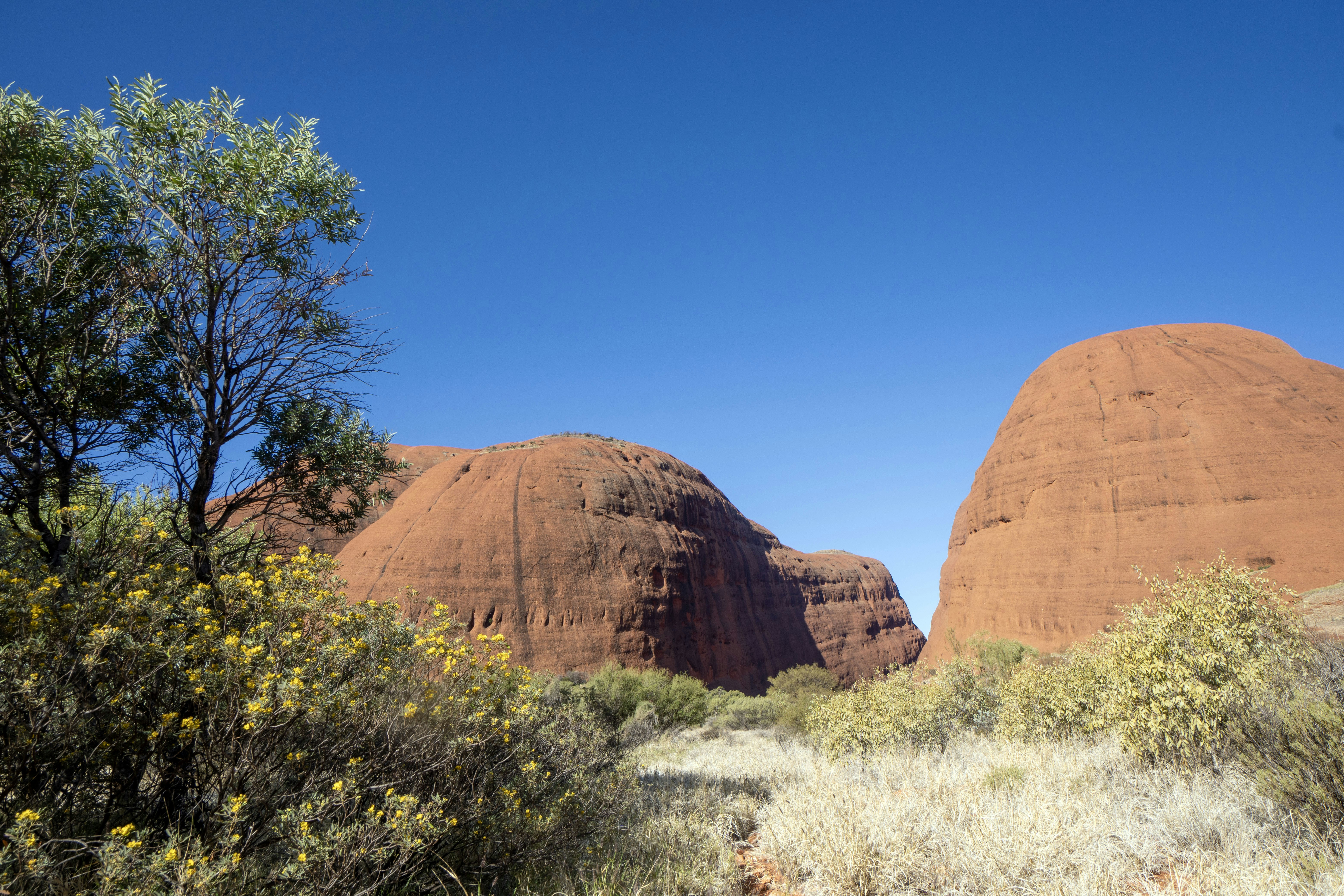 Red rock formations under a clear blue sky. photo – Free Desert landscape Image on Unsplash