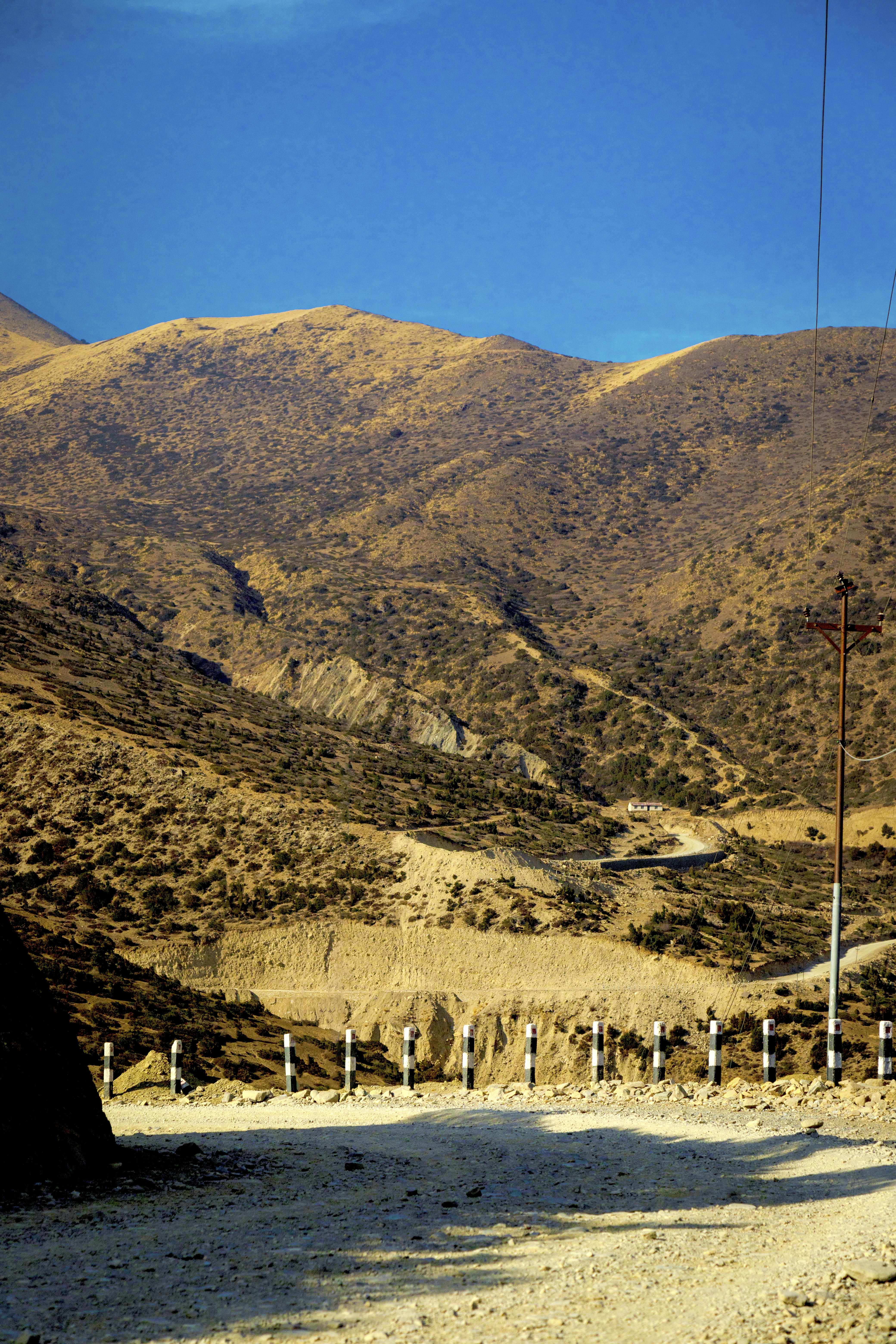 Algorithms at the Gate: AI Is Redefining Borders, Migration, and State ...