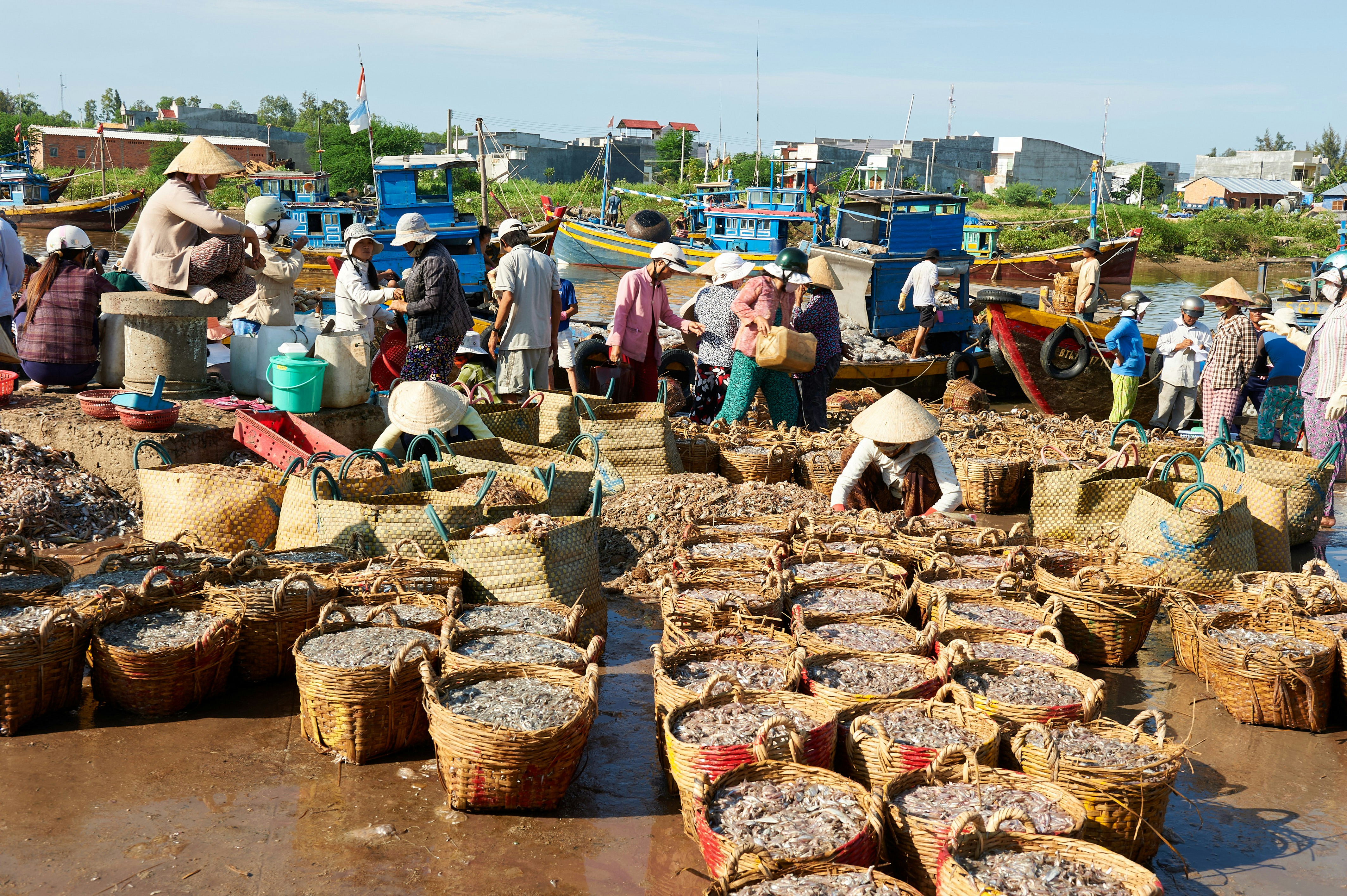 Fishermen and vendors bustling around a coastal market, surrounded by baskets filled with freshly caught seafood. The vibrant scene captures the essence of local trade and community life.