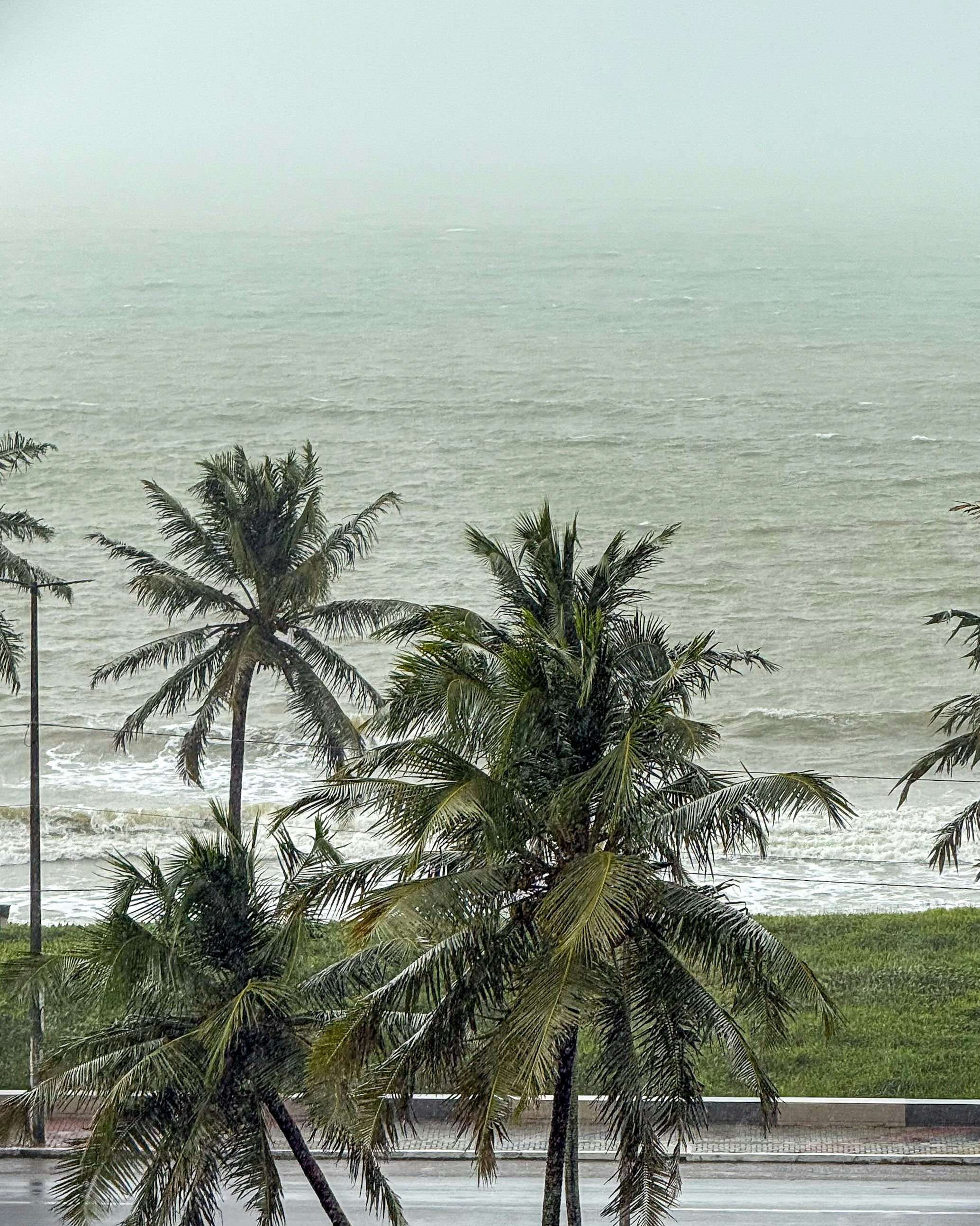 Whispers of the Stormy Sea