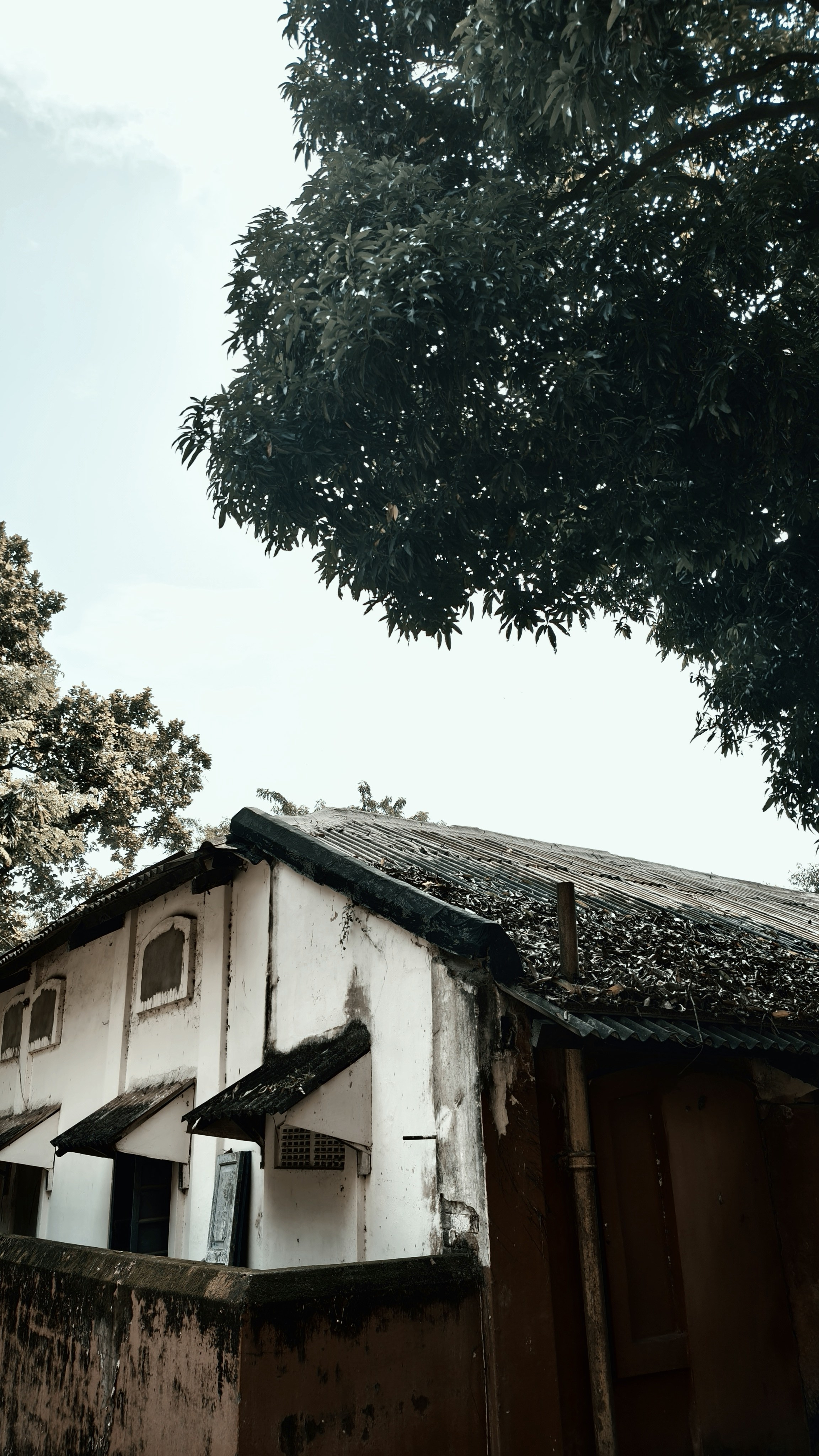 Weathered building with overgrown trees against sky