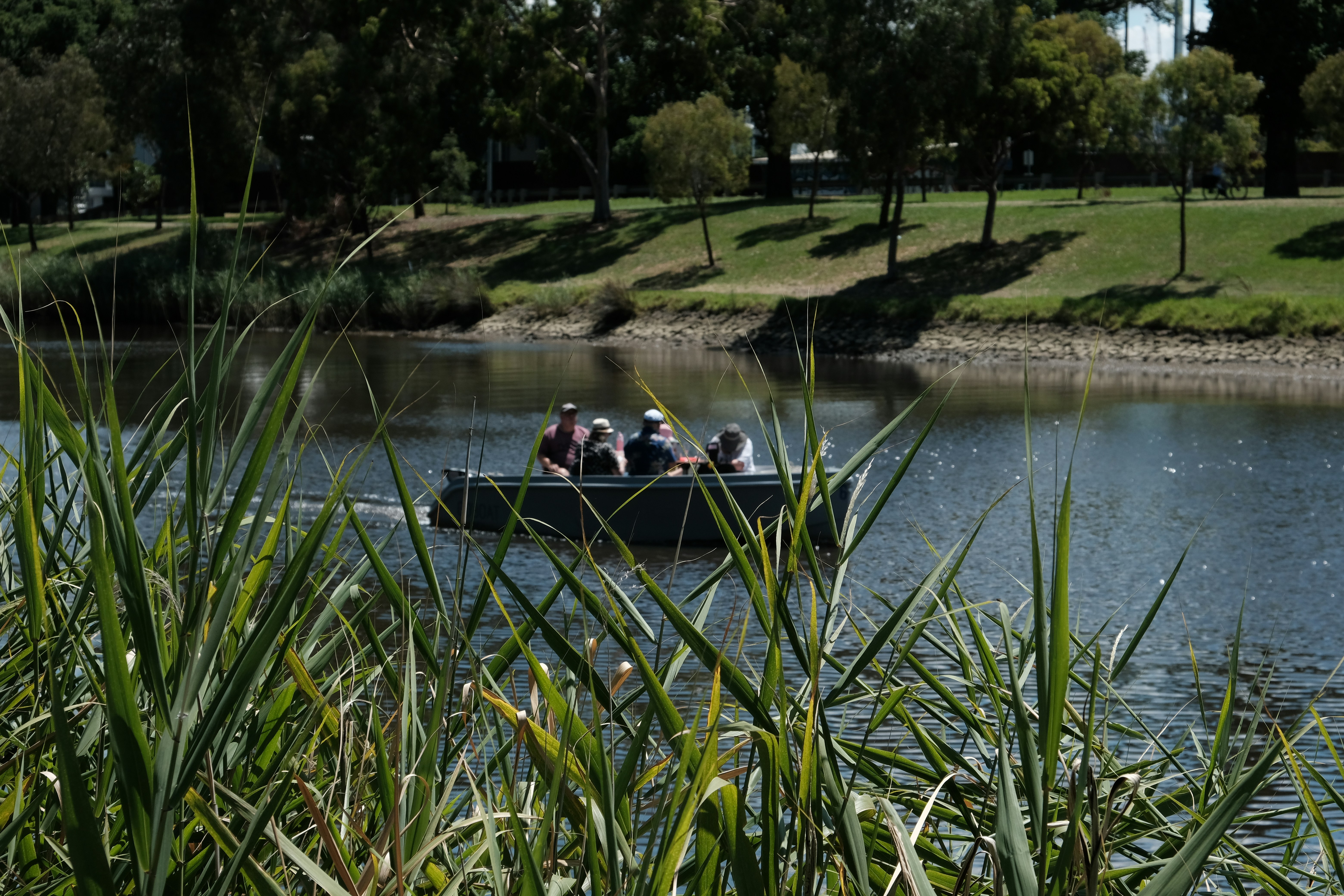 Serenity on the Water: A Day of Leisure