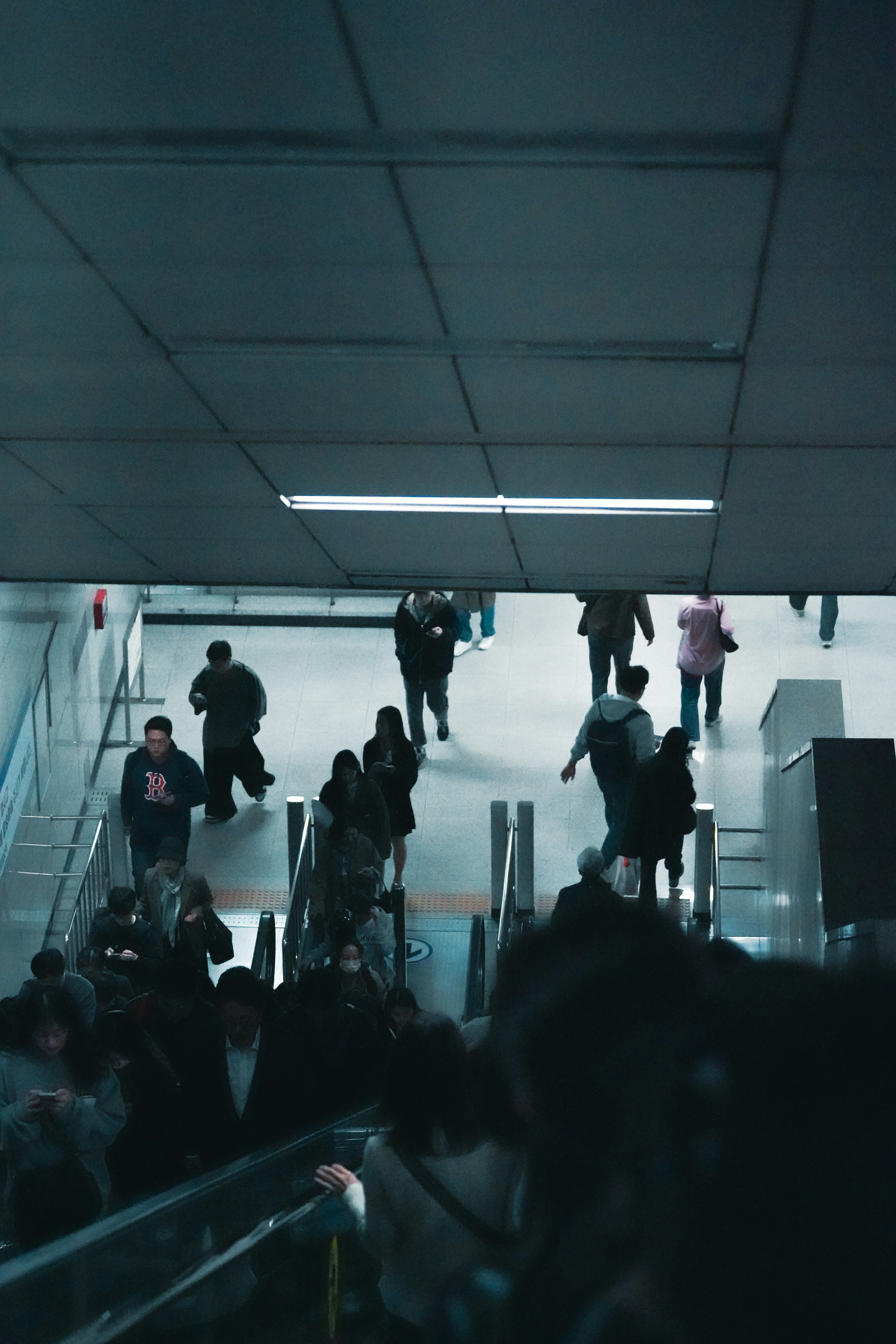 Urban Pulse: A Journey Through the Underground