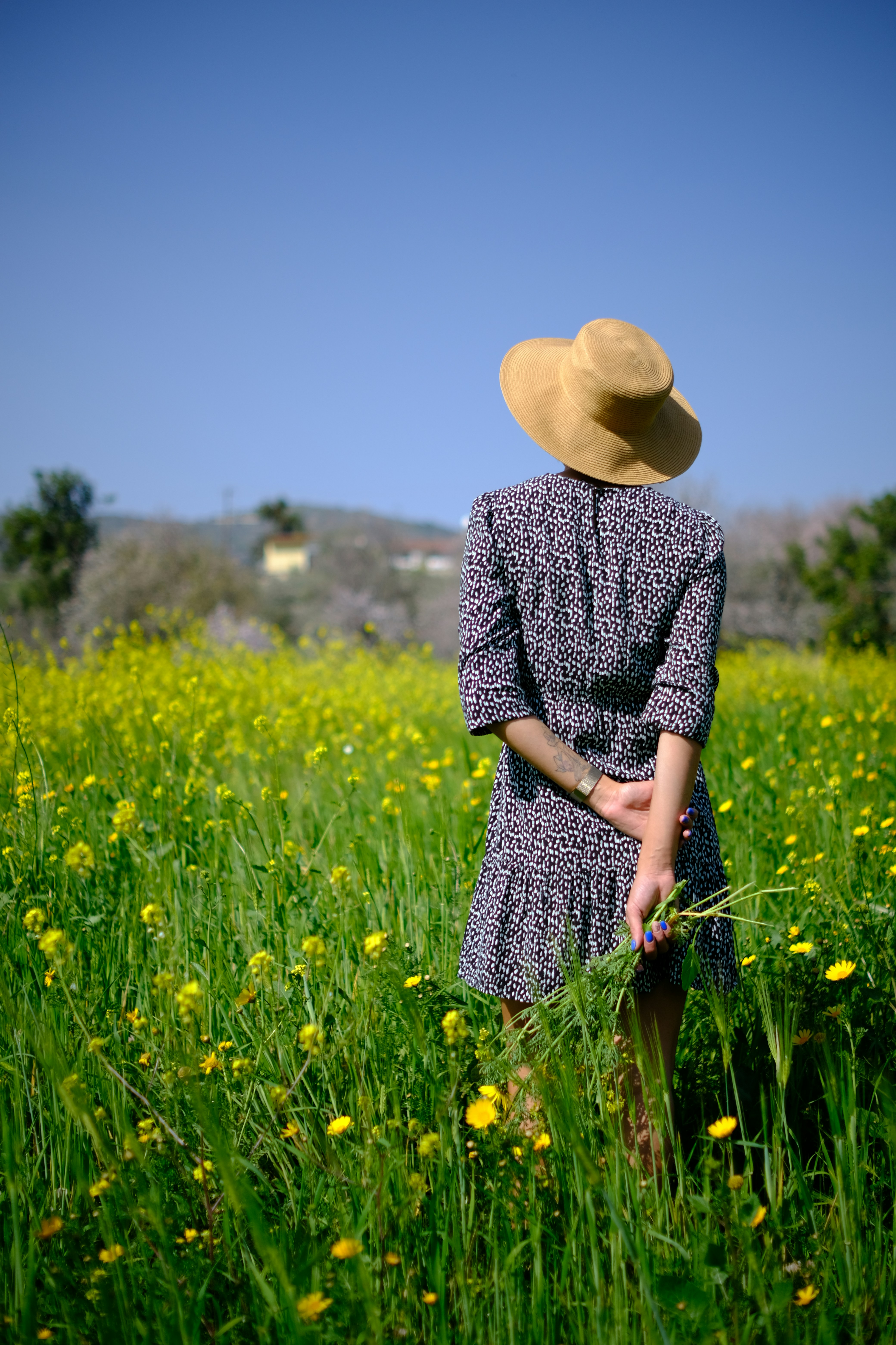 Whispers of Spring in a Sunlit Meadow