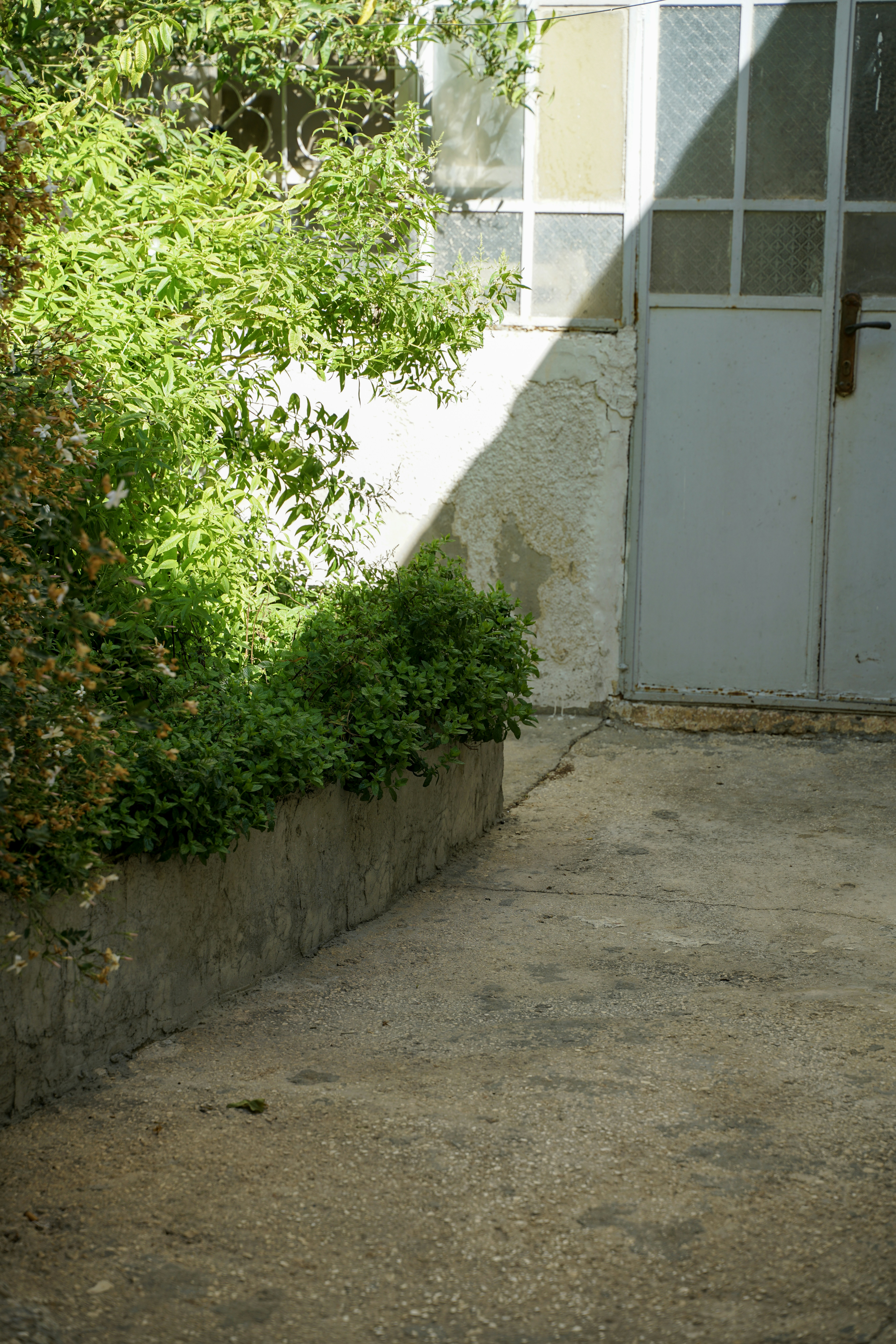 Whispers of Nature at the Threshold