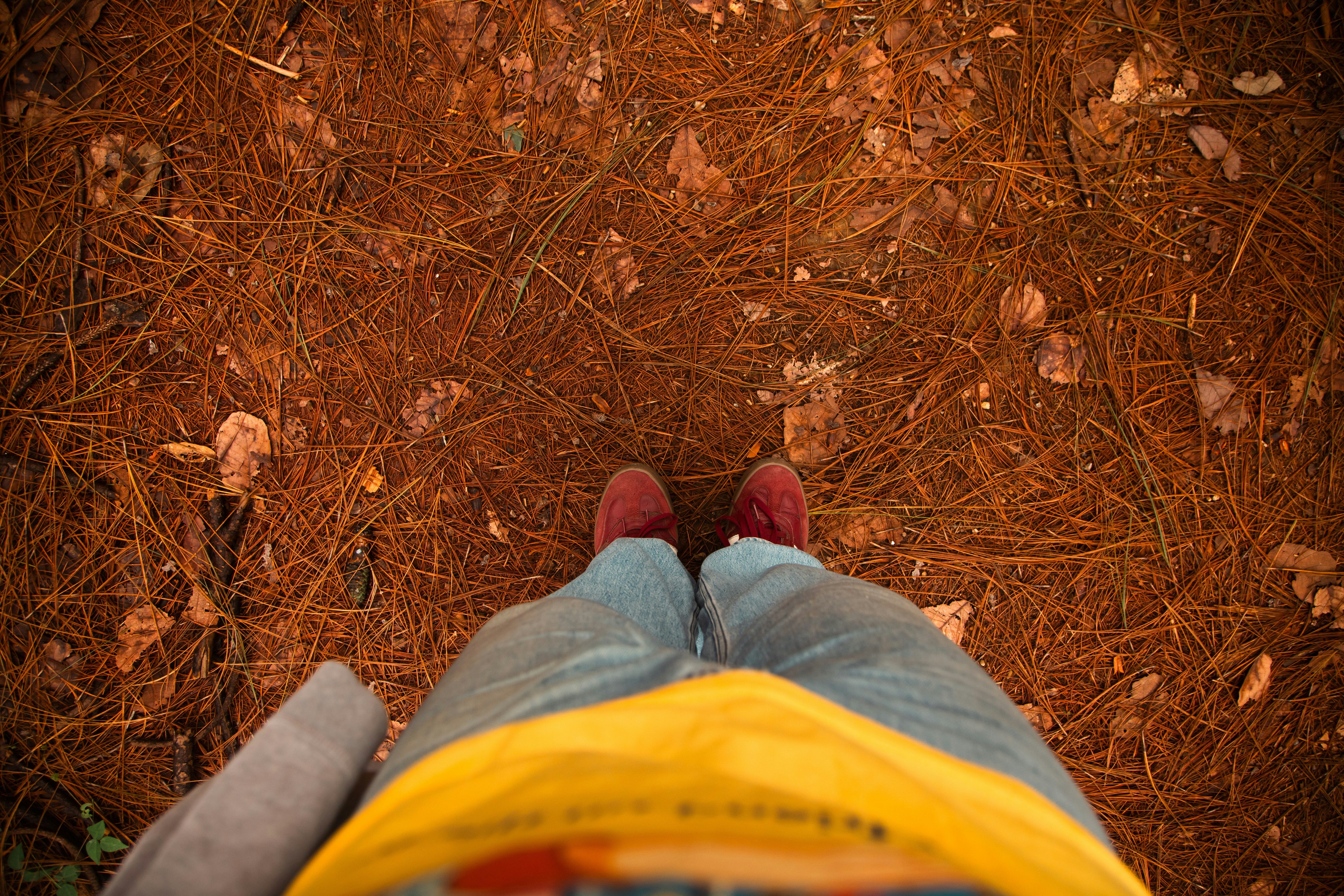 Person standing on a forest floor covered in pine needles.