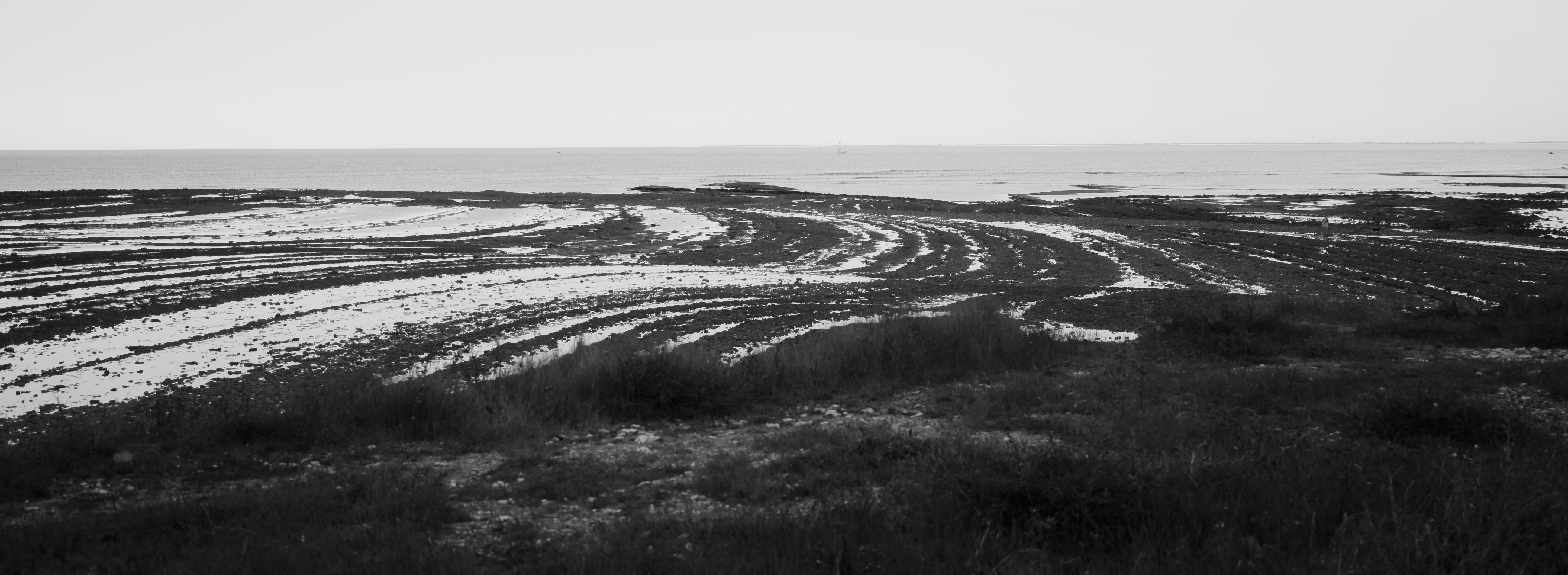 Grassy dunes and ocean under a bright sky