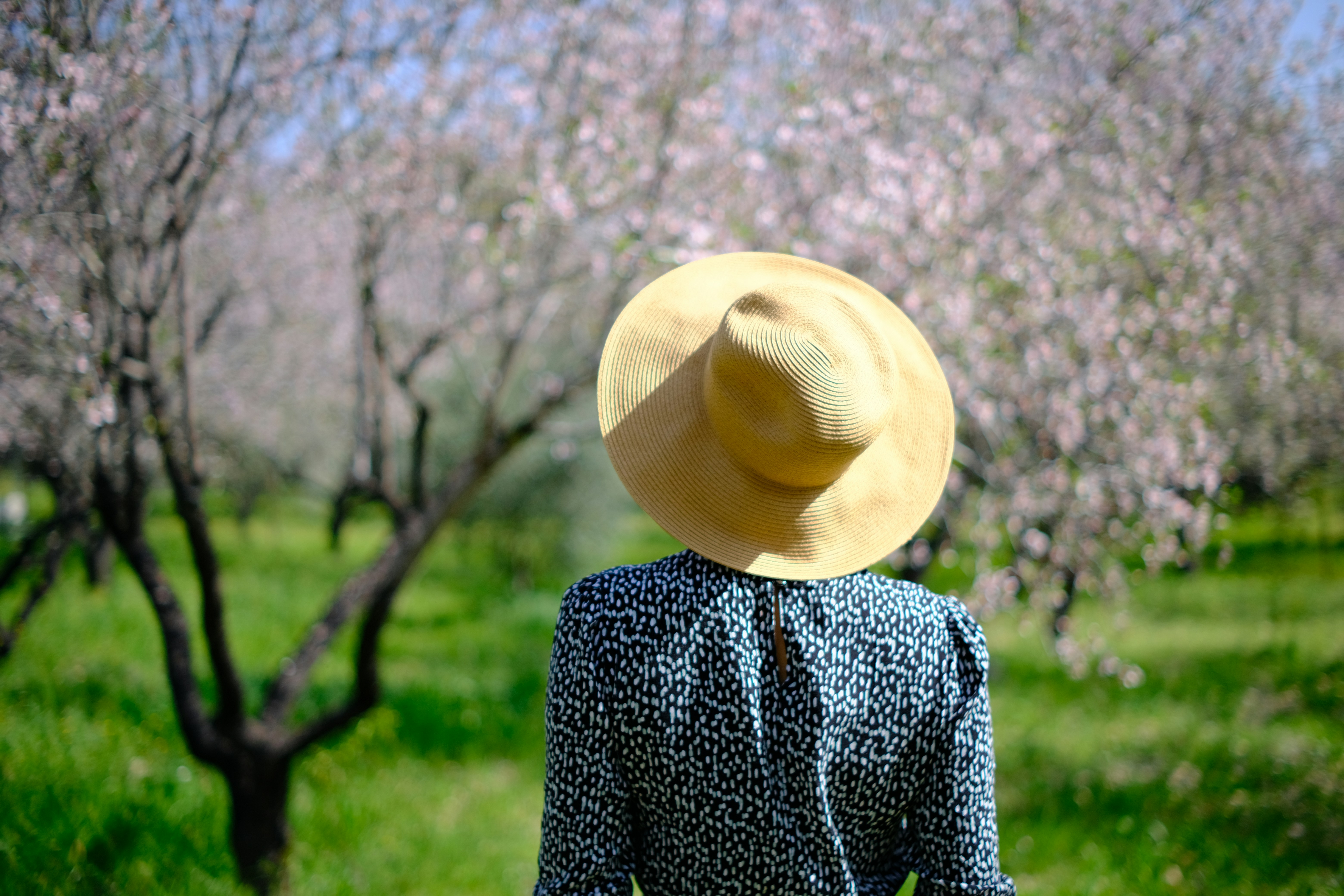 Woman in hat stands in blooming orchard