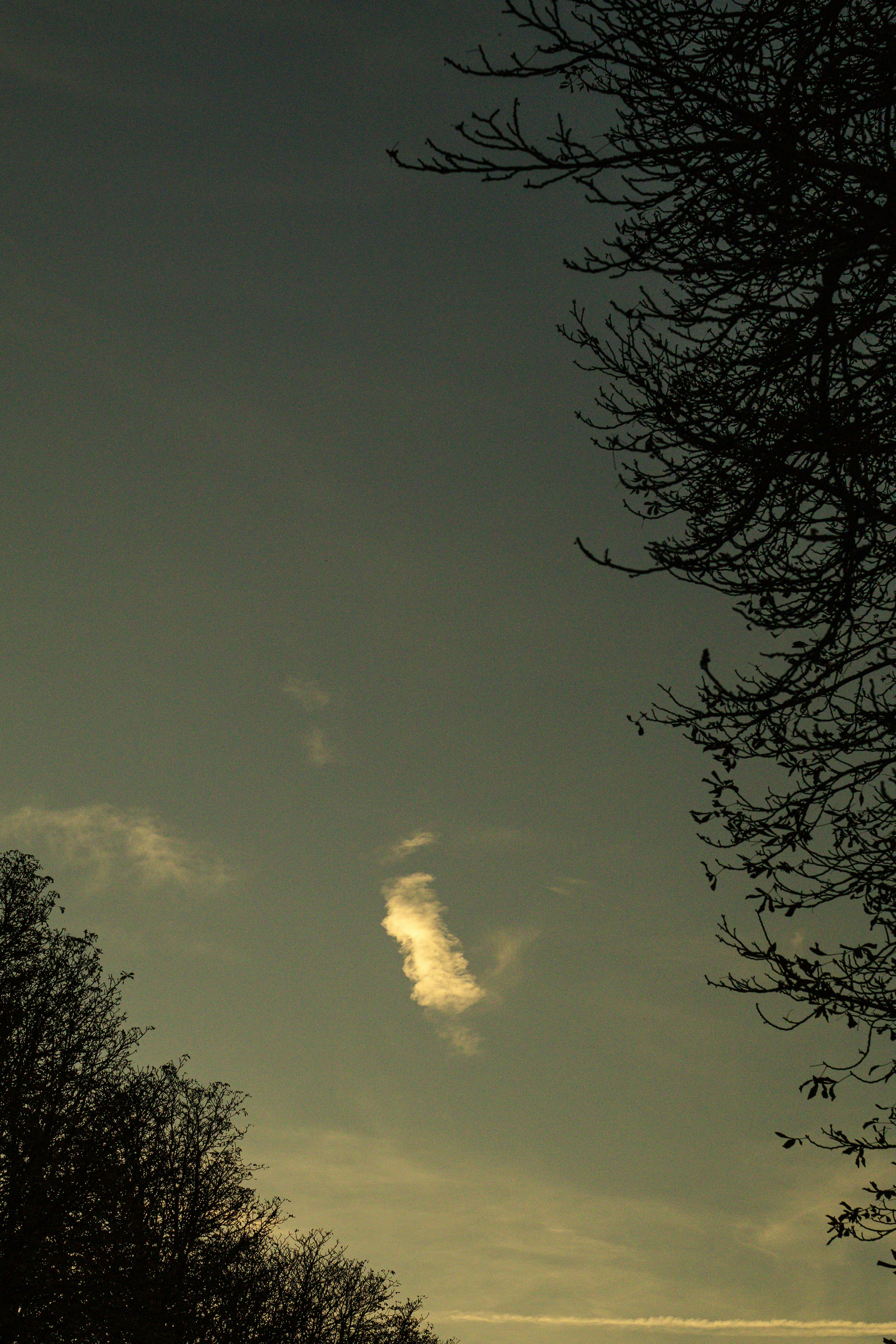 Whispers of the Sky: A Cloud's Journey