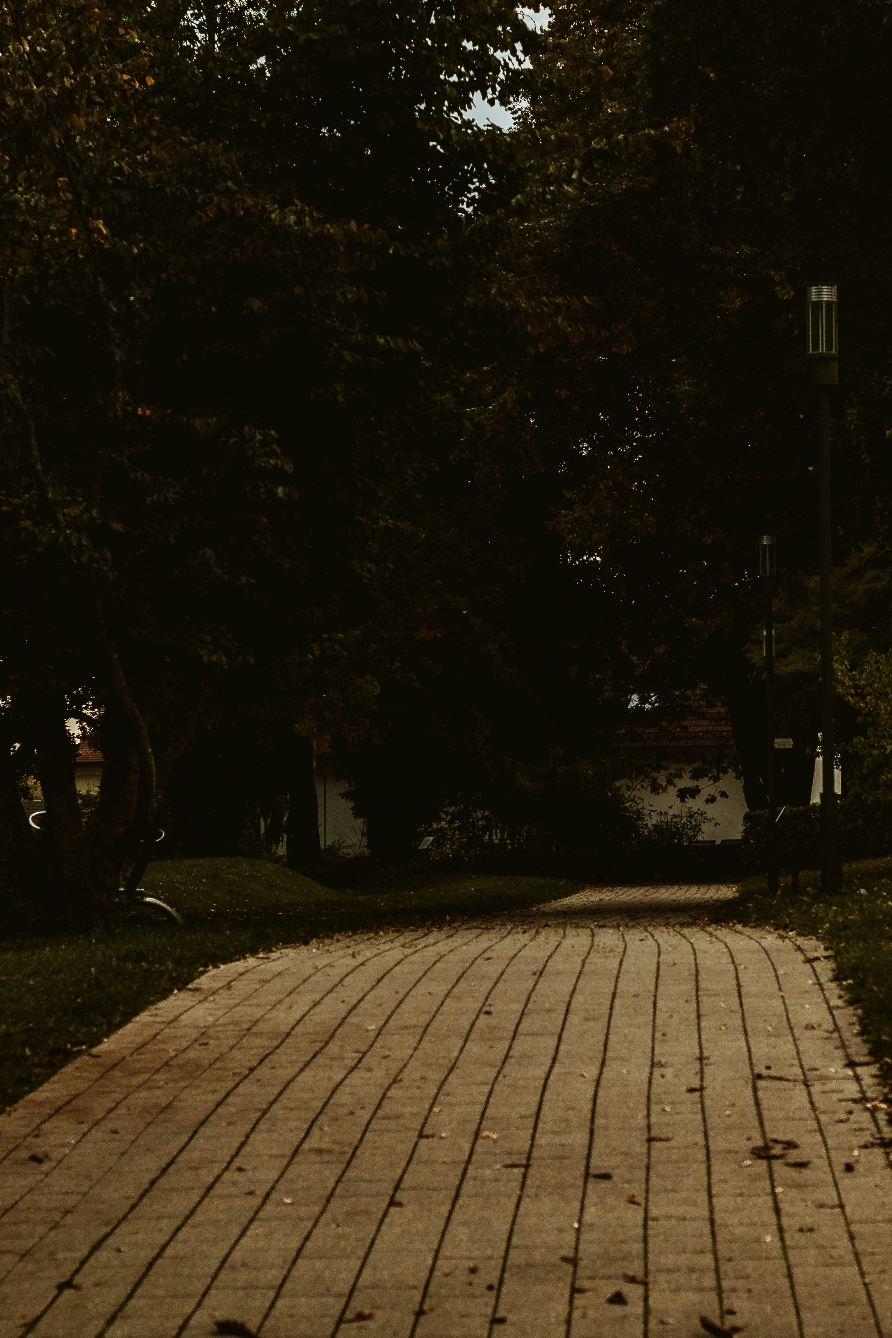 A brick pathway leads through a dark, tree-lined park.