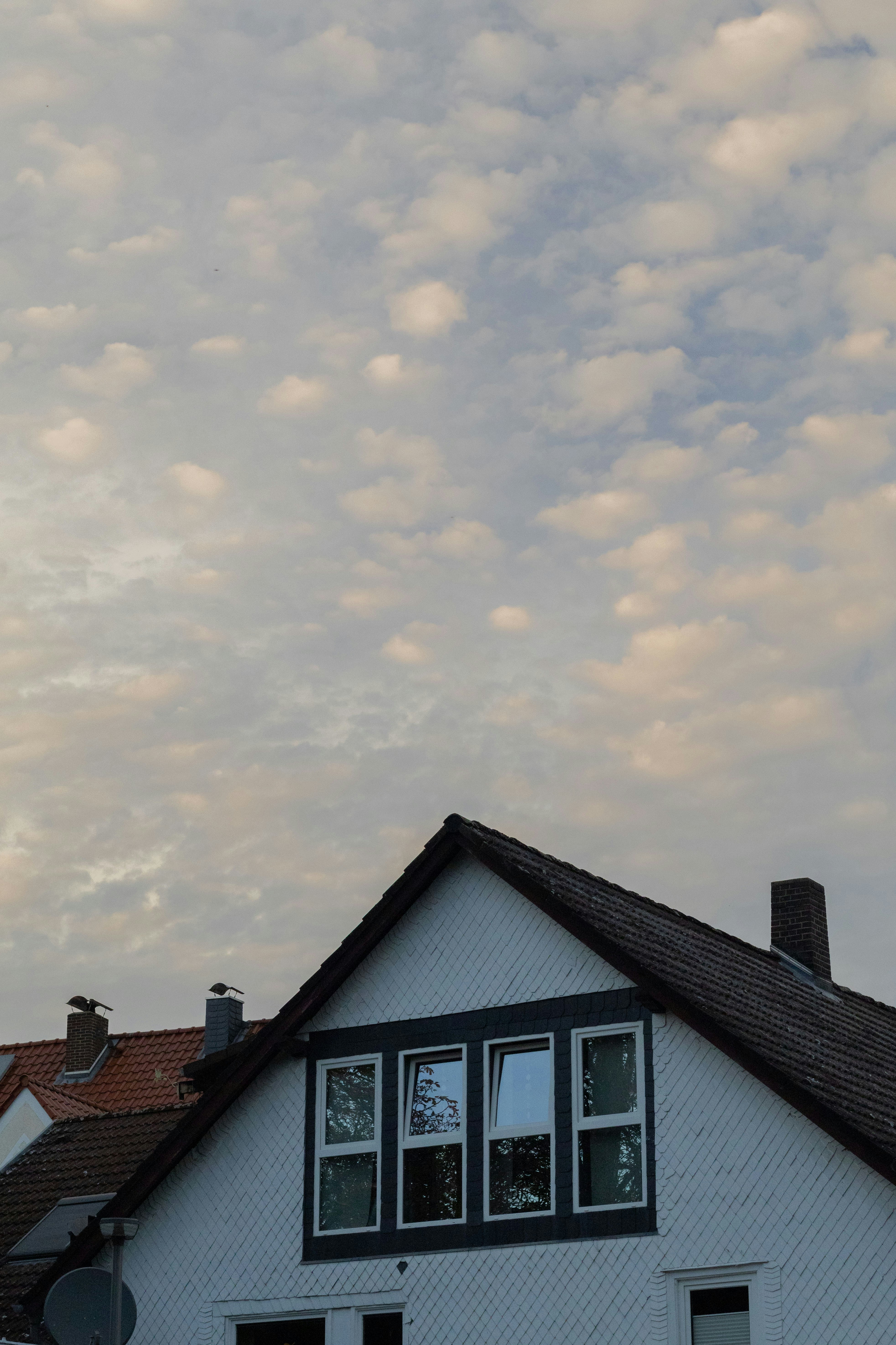 Whispers of the Evening Sky