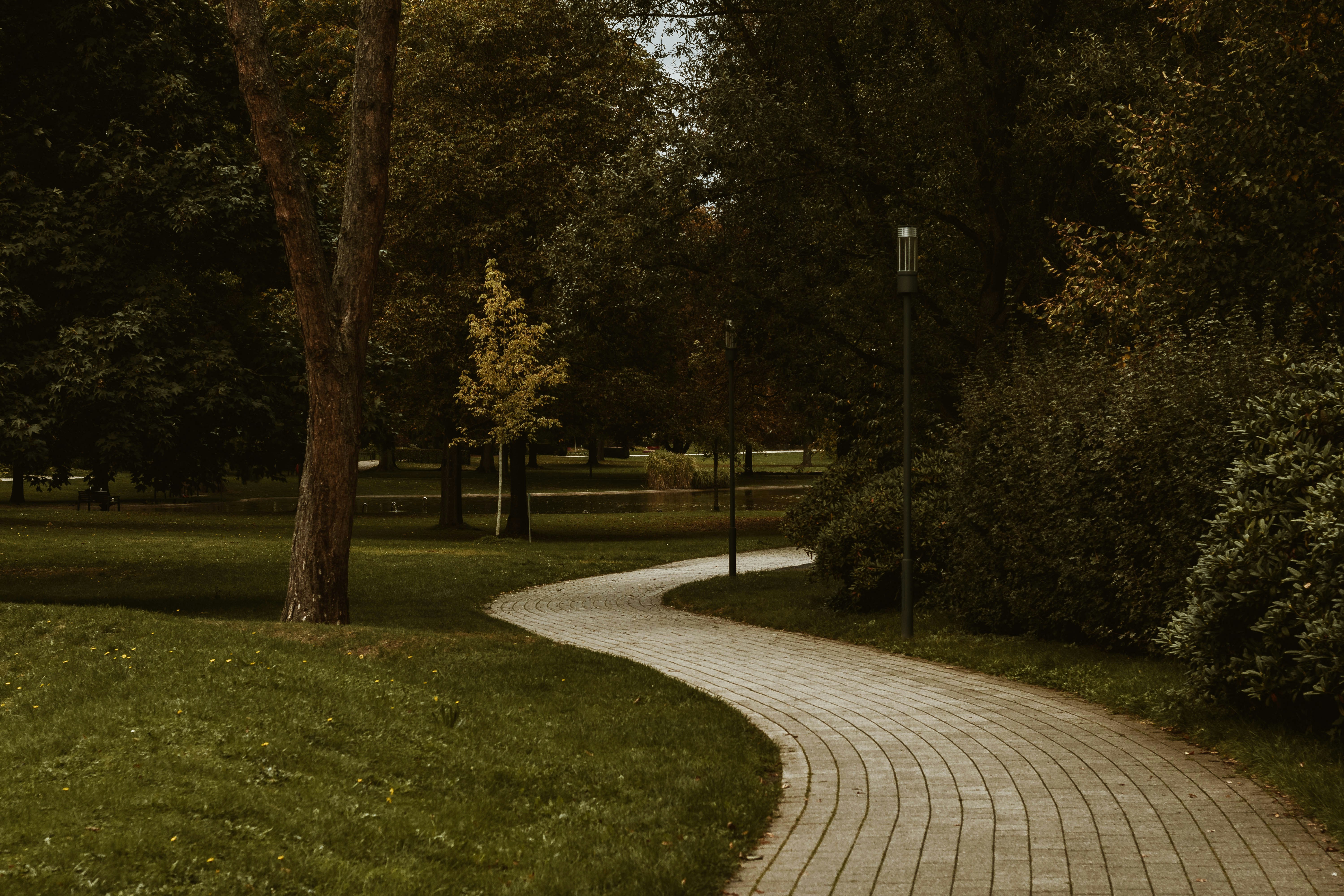 Whispers of the Winding Path
