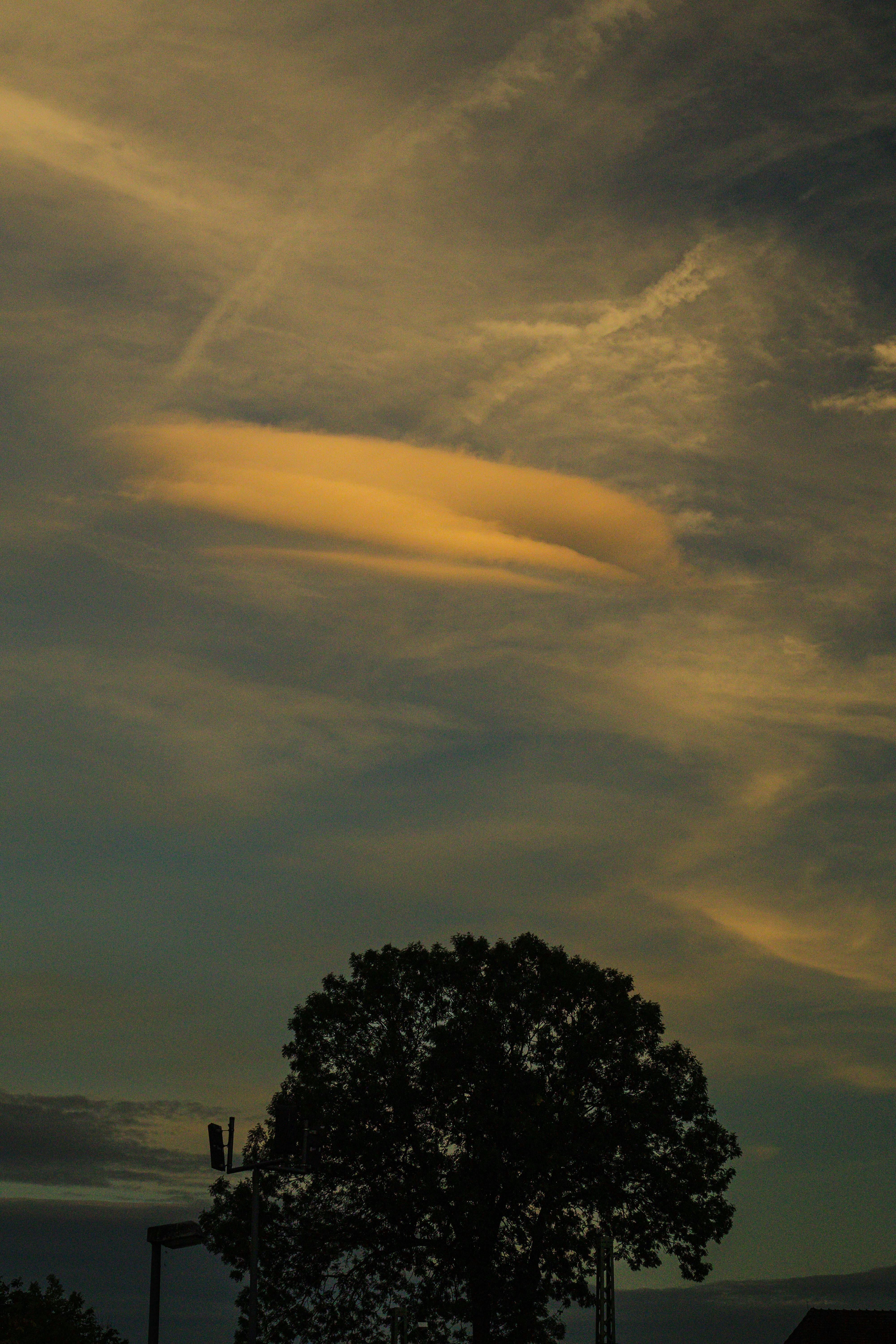 Silhouette of a tree against a dramatic sunset sky