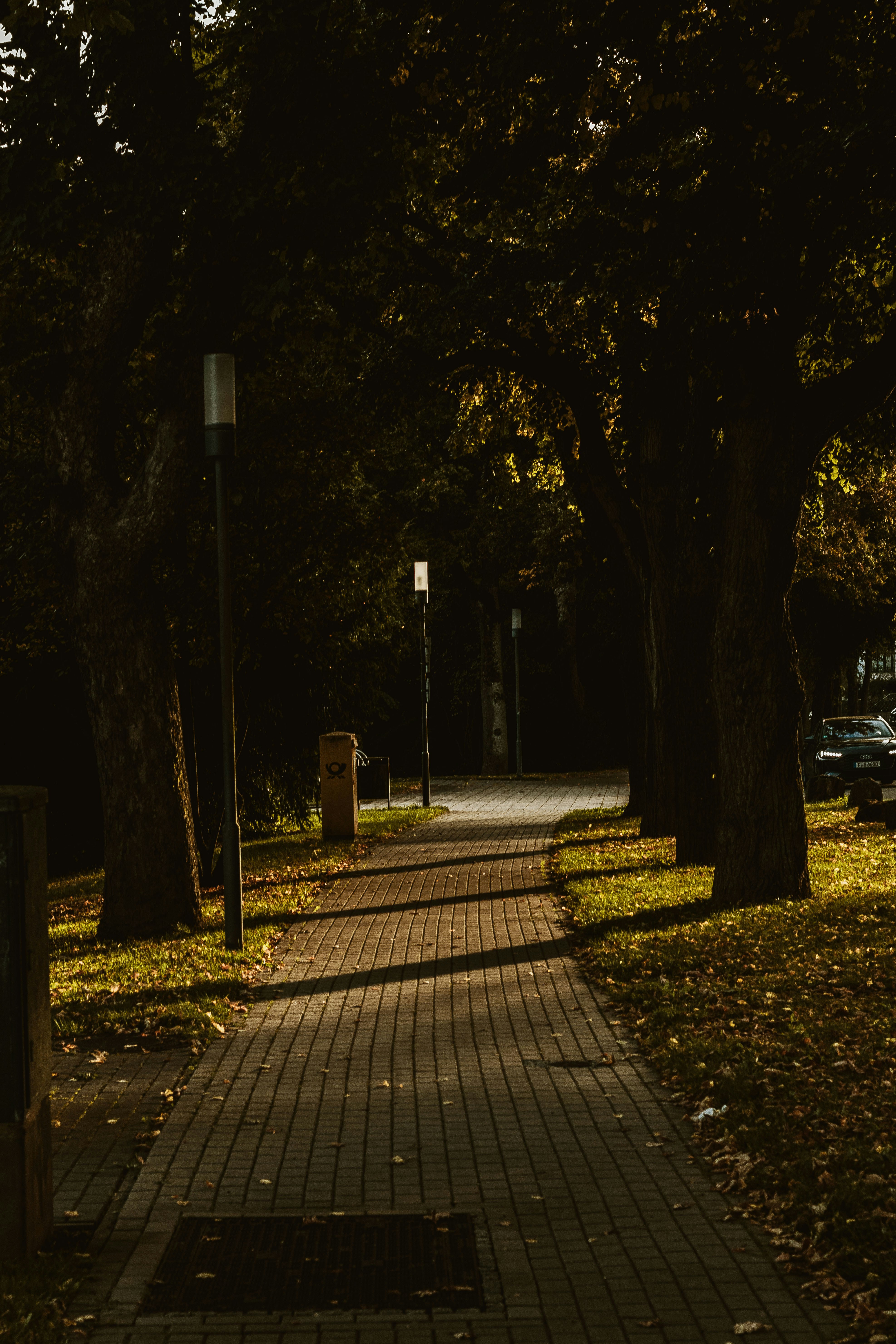 A tree-lined park path with dappled sunlight.