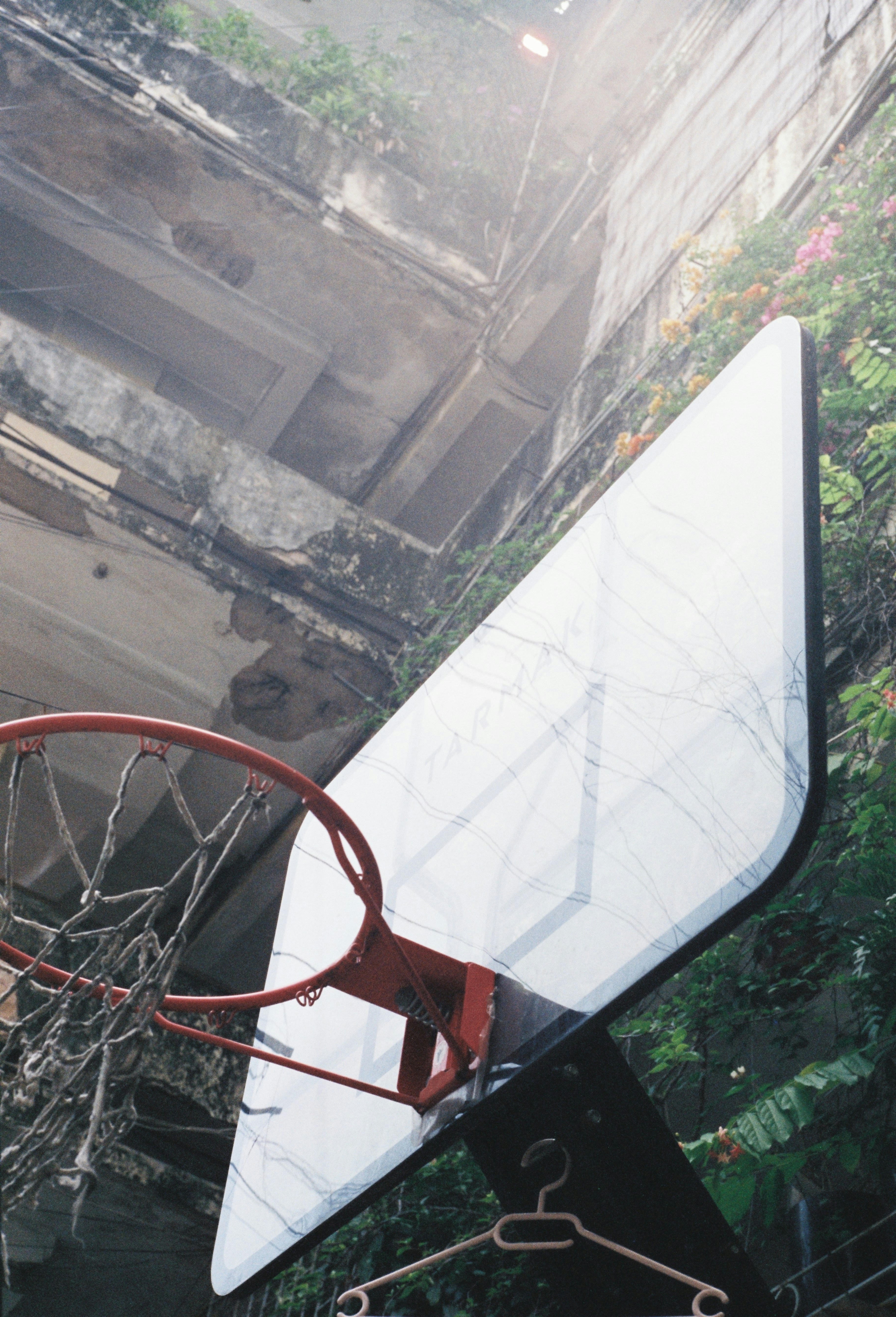 Urban Resilience: The Basketball Hoop Amidst Decay