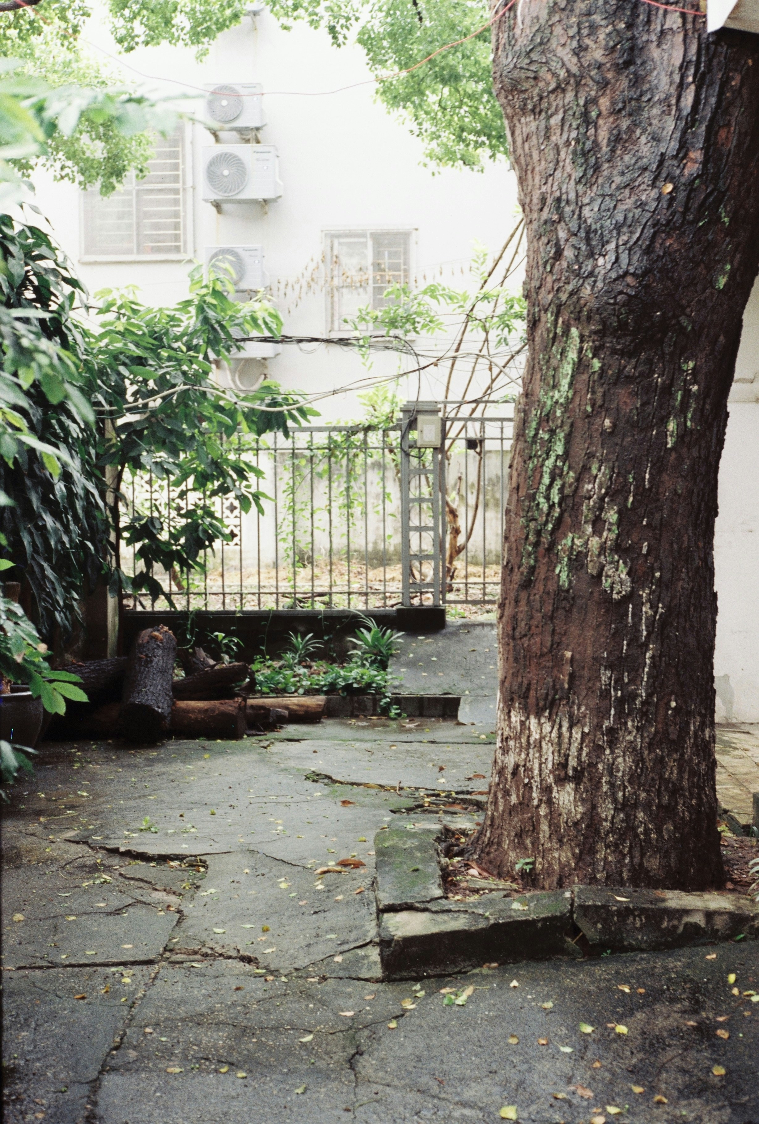 Whispers of Nature in an Urban Retreat