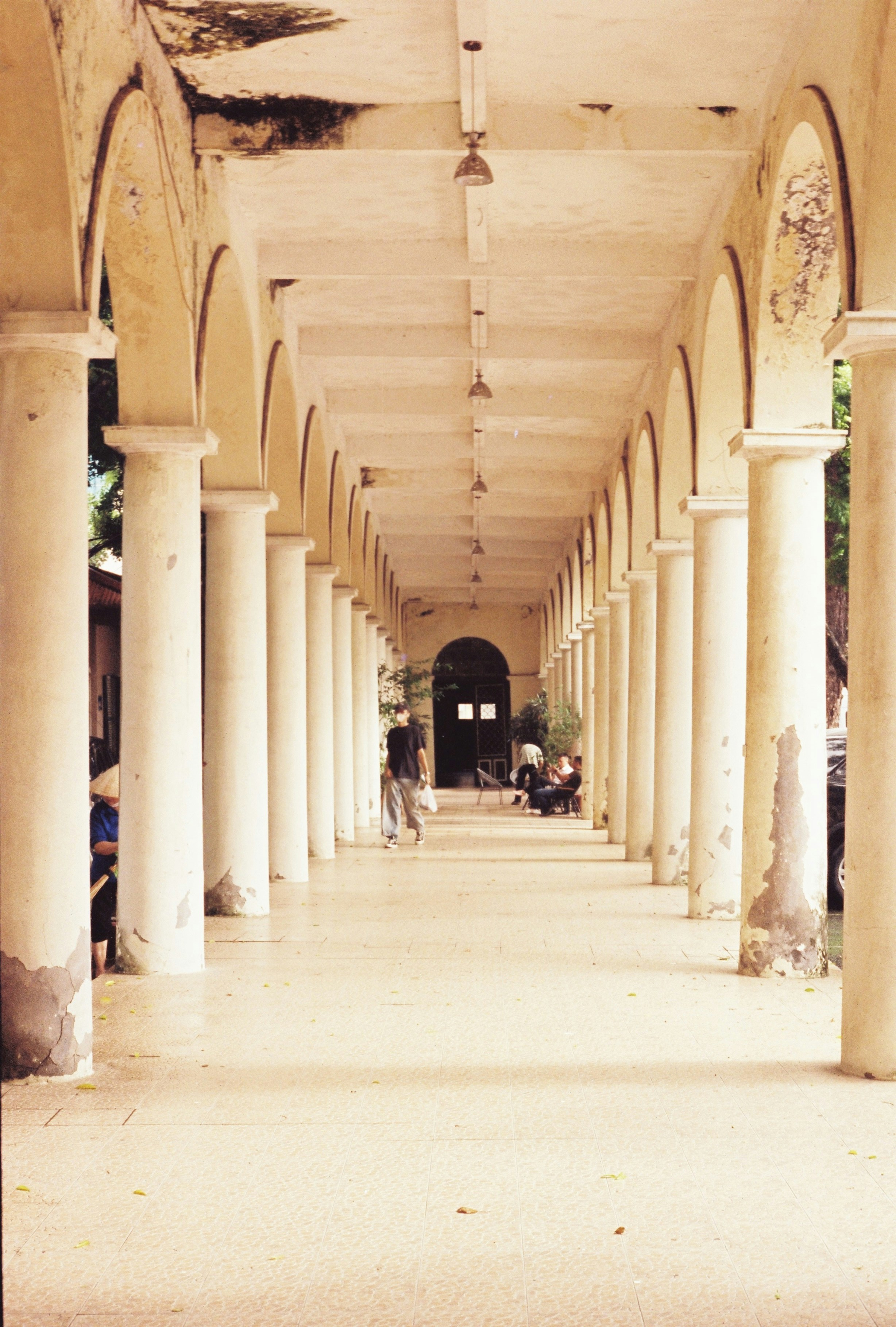 Echoes of Time: A Passage Through History