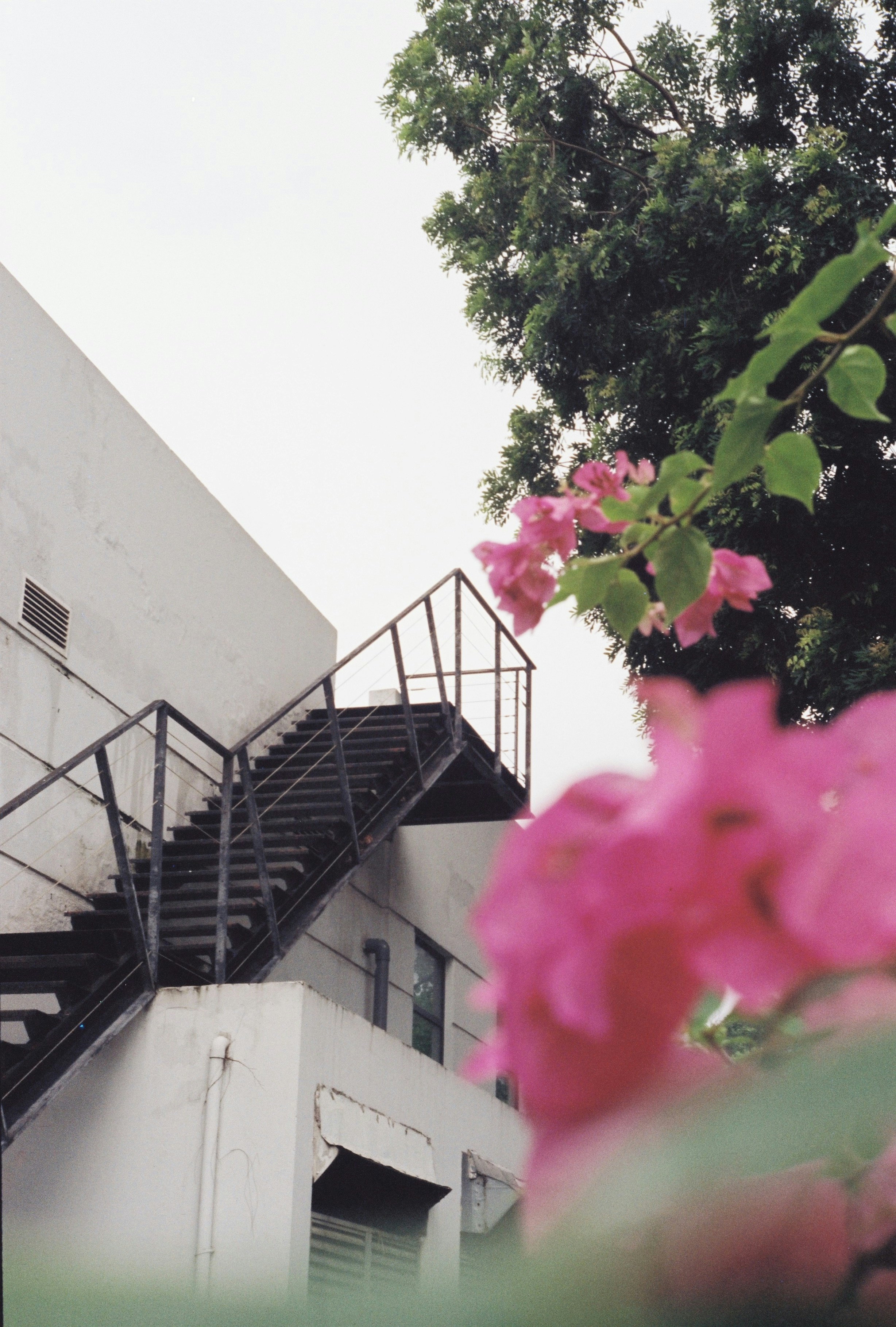 Urban Ascent: A Journey Through Color and Structure