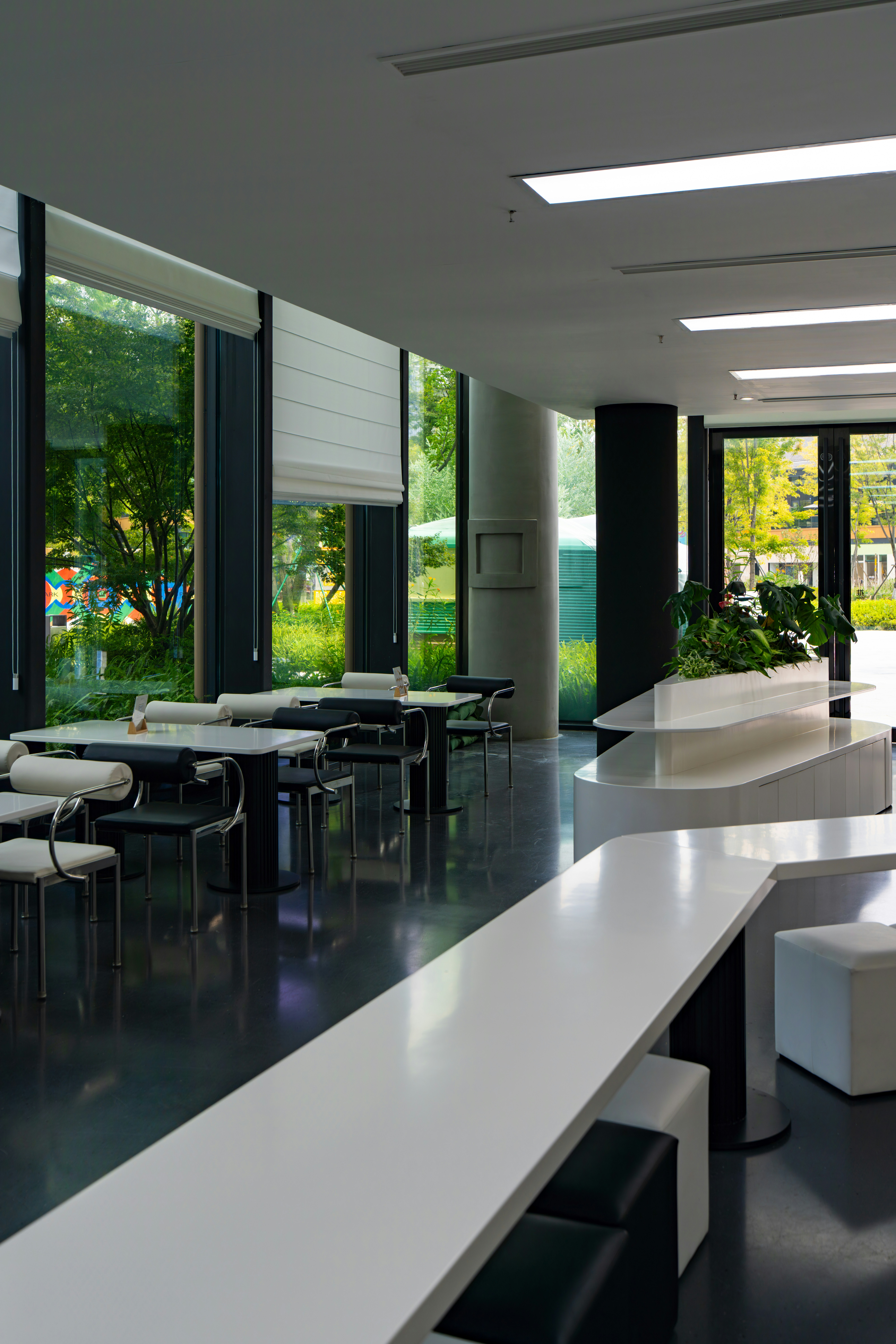 Serene Modernity: A Chic Café Retreat