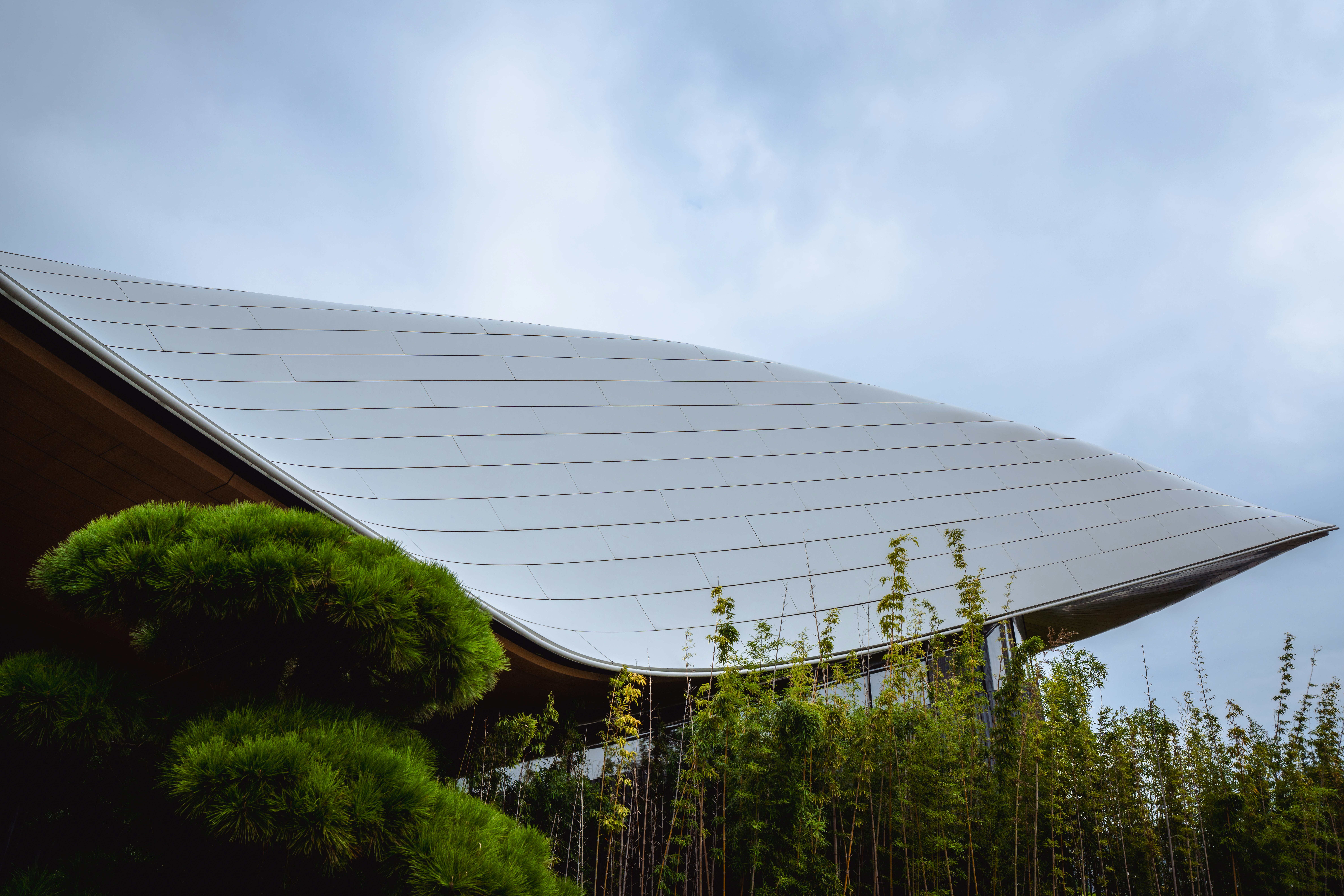 Arcing Metal Roof Over a Tranquil Garden