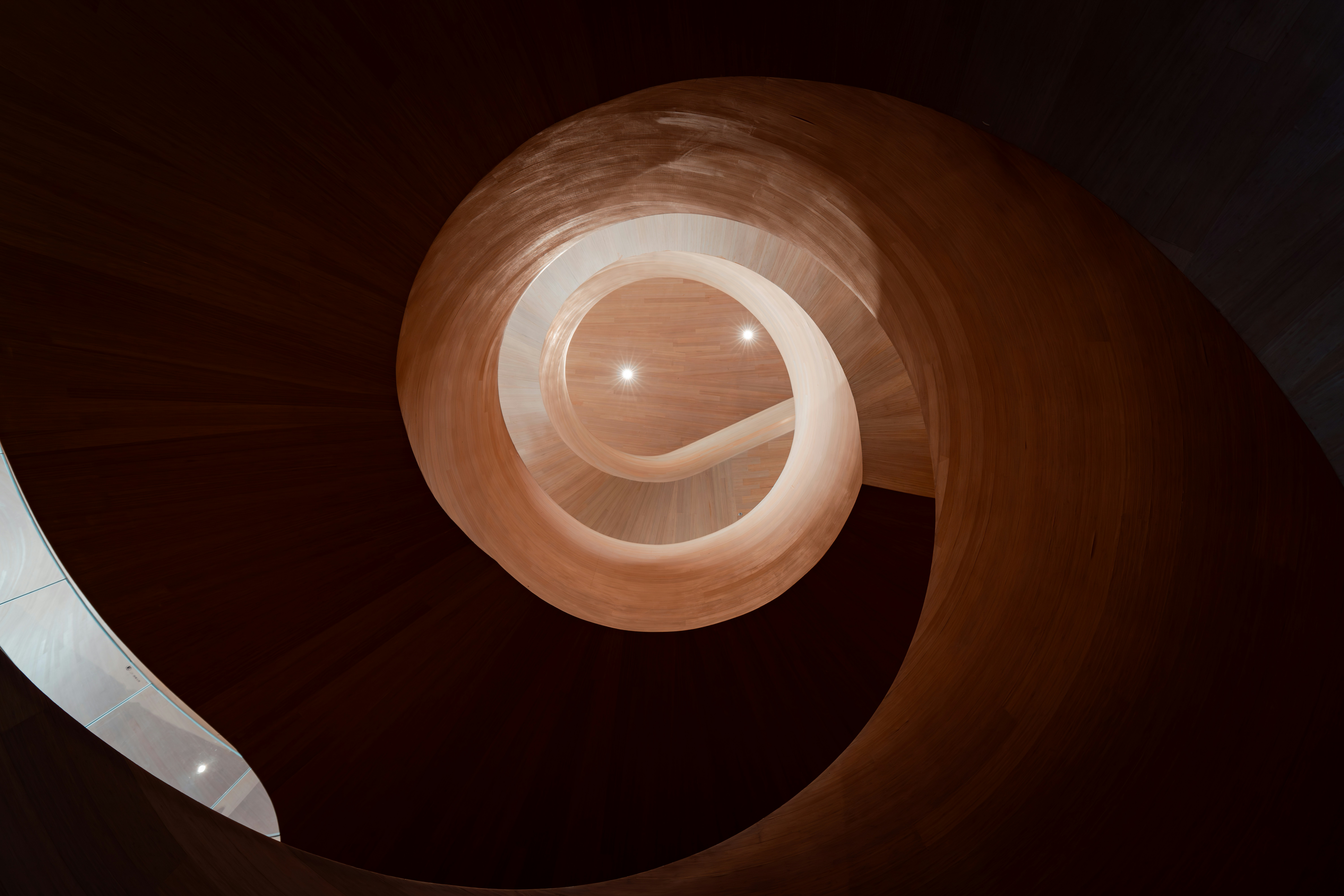 Spiral Harmony: A Dance of Light and Wood