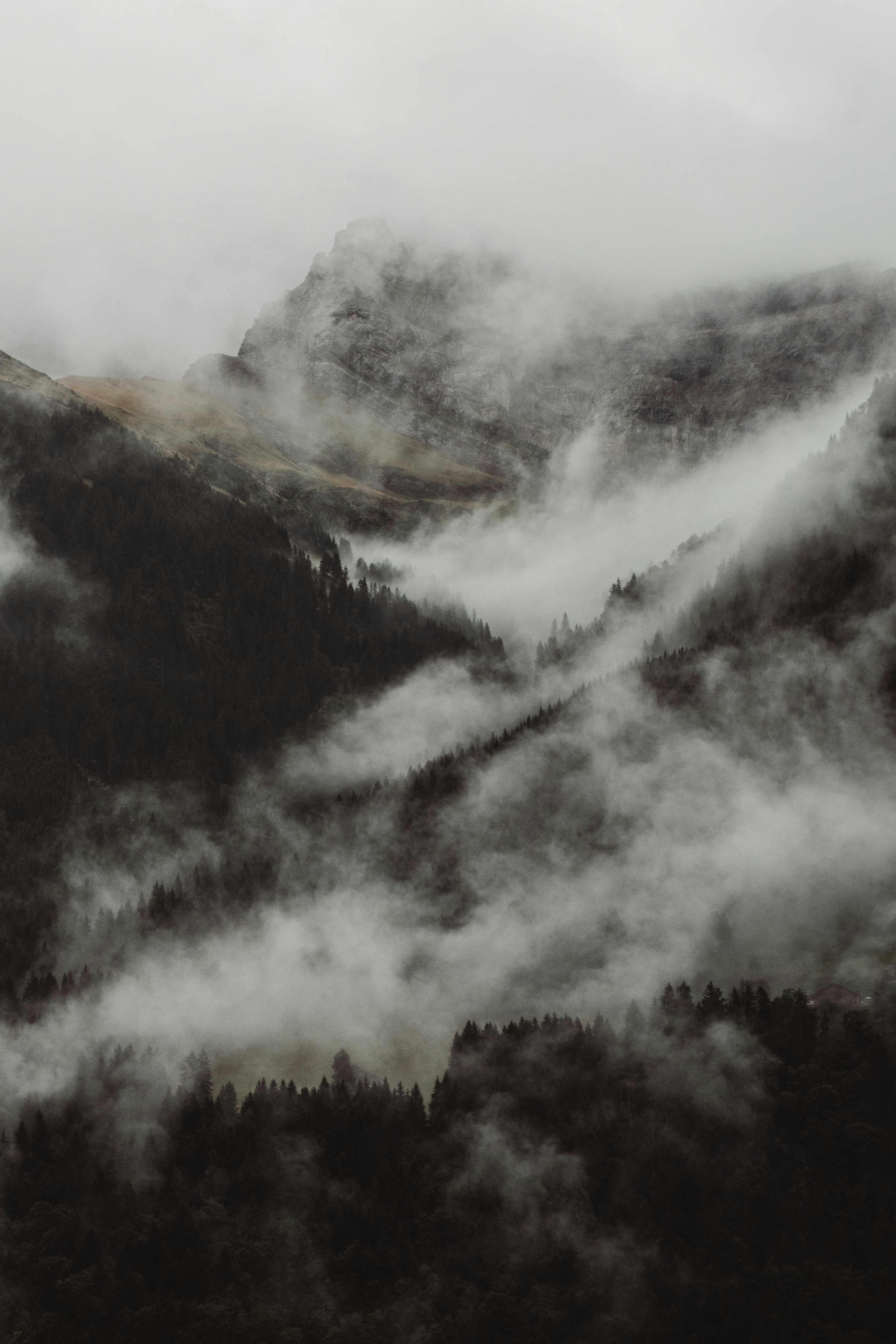 Misty Les Dents du Midi in Champéry, Switzerland. | Misty mountains with dark pine trees below.