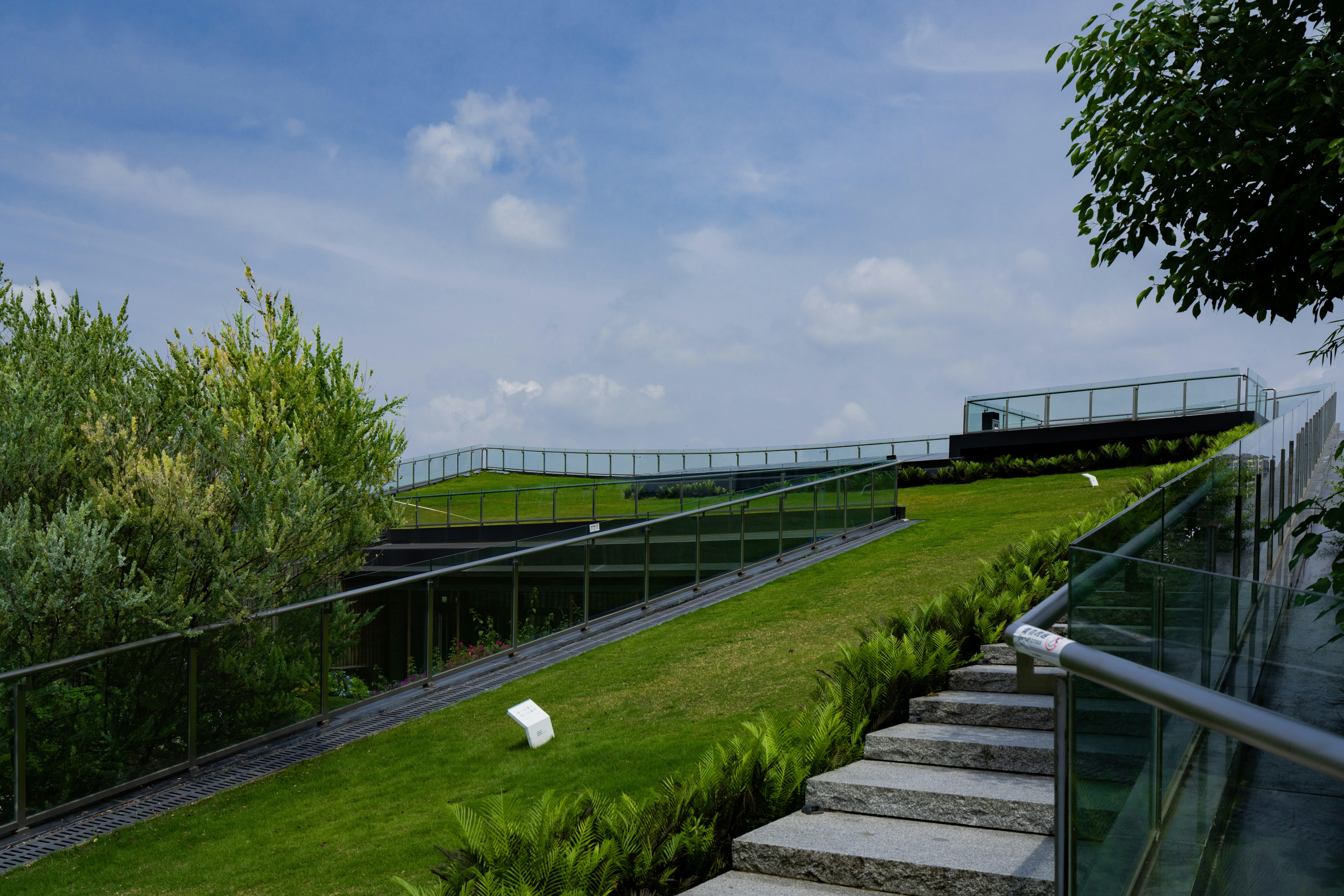 Green rooftop garden with modern architecture and stairs