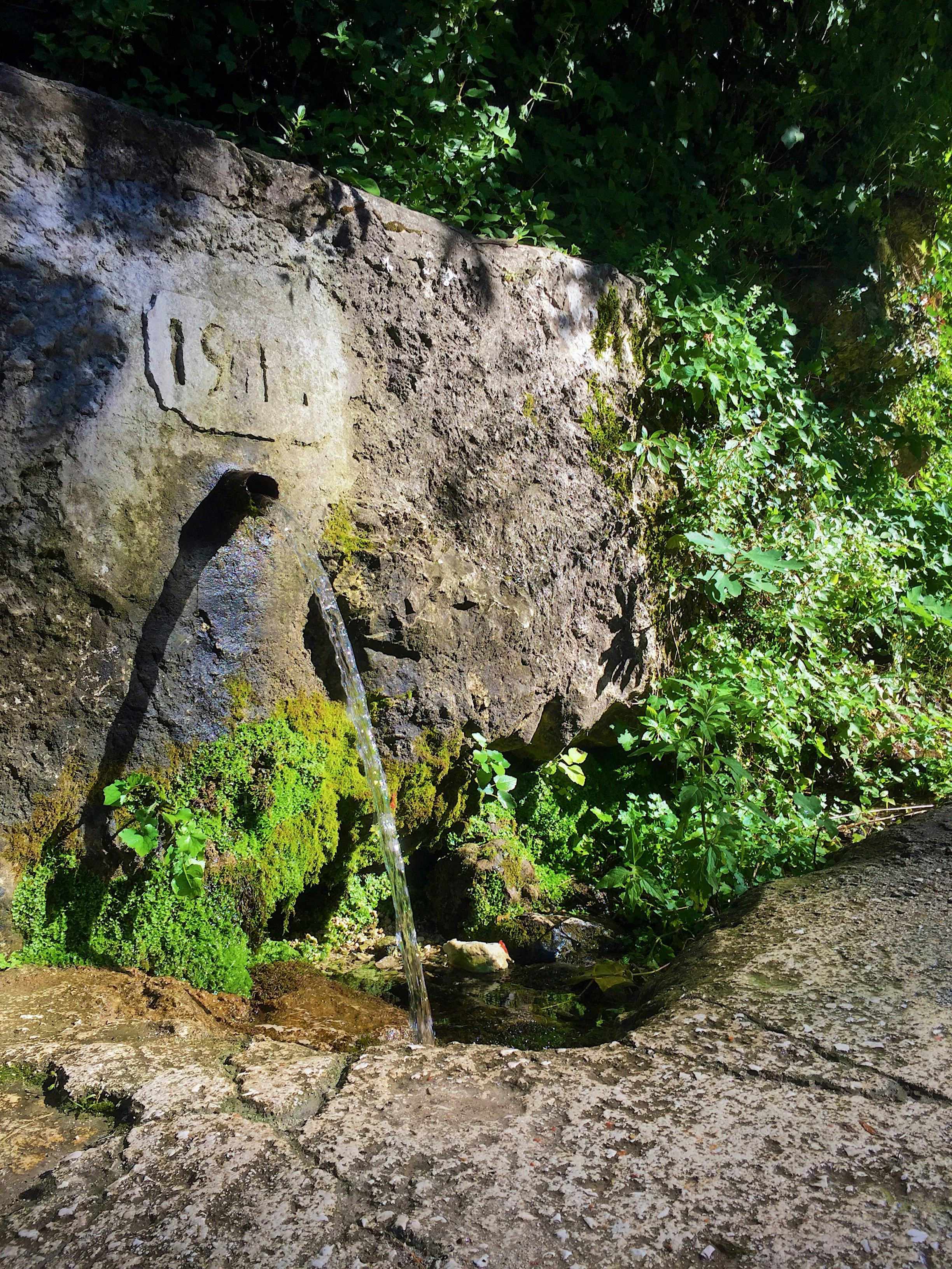 Water flows from a stone fountain surrounded by greenery.