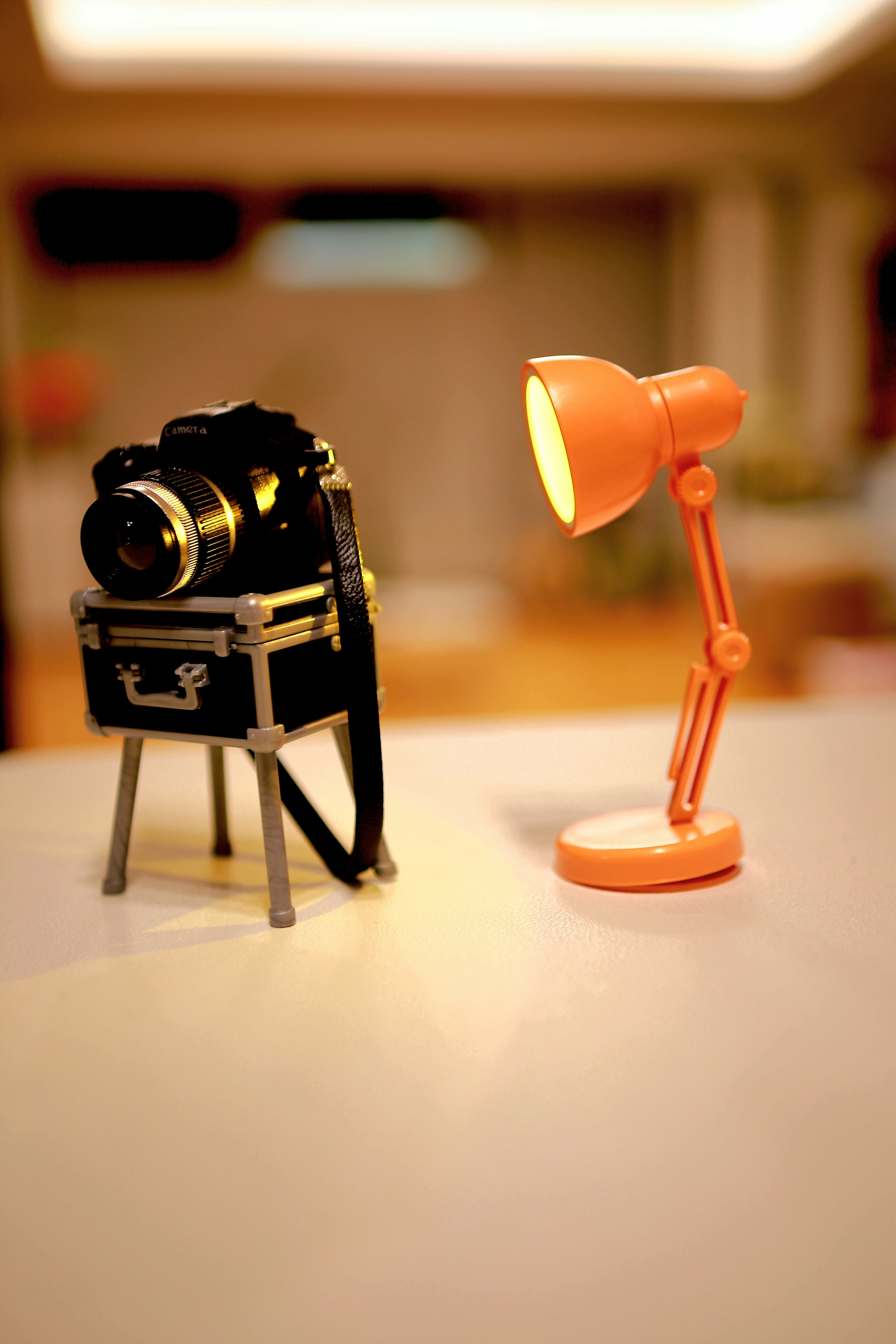 Illuminated Moments: A Photographer's Companion
