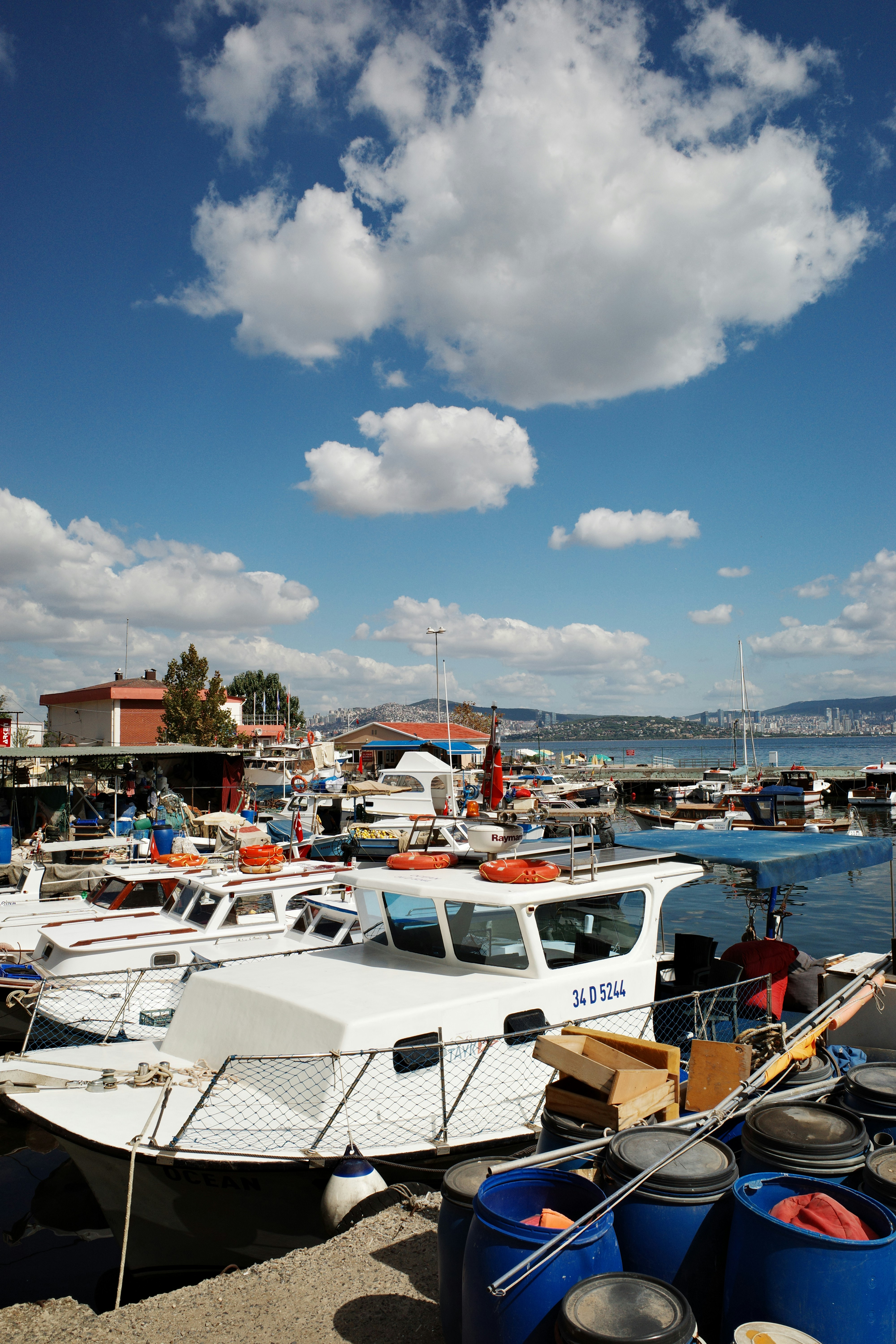 Harbor Harmony: A Day at the Docks