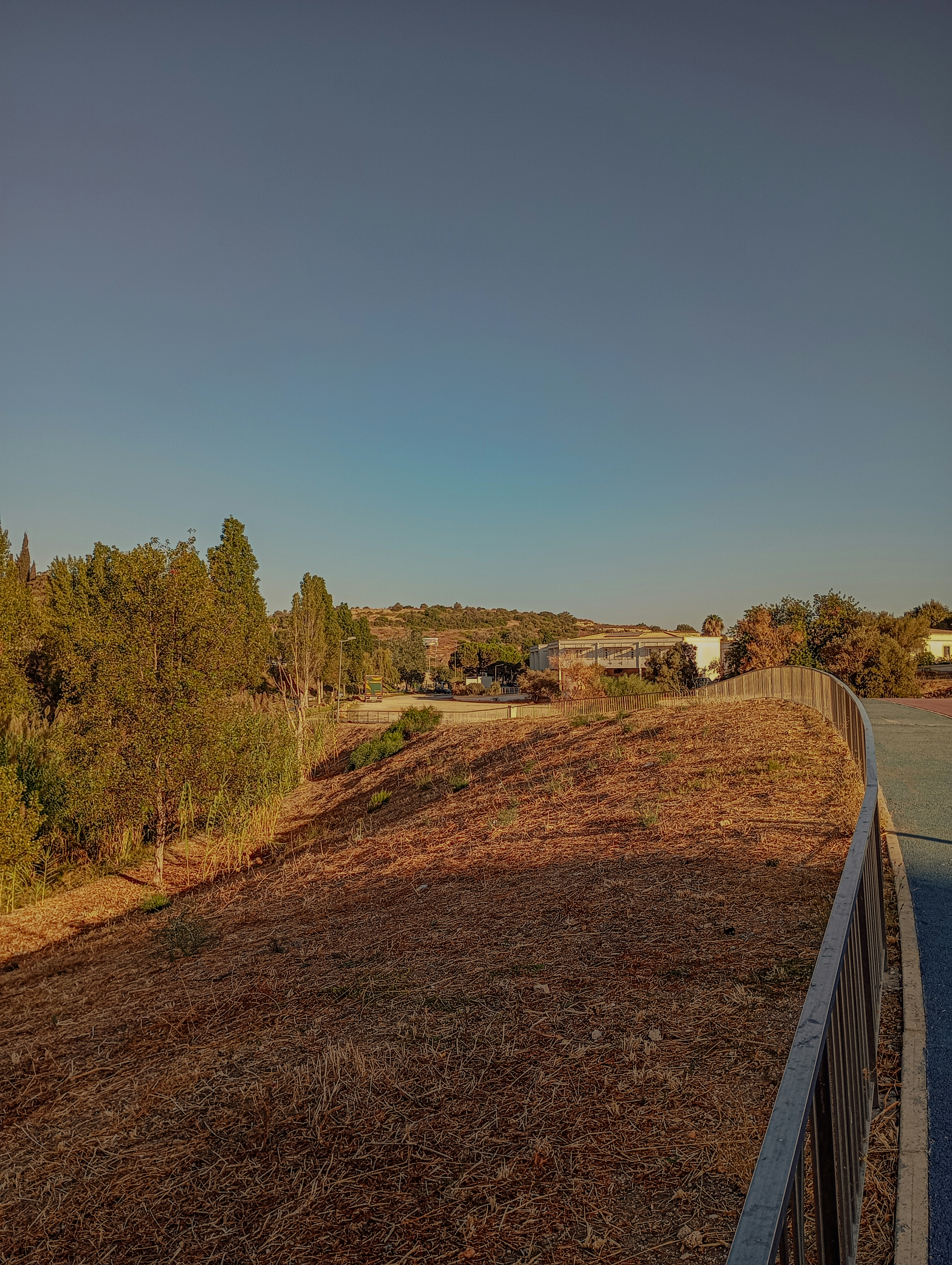 Sample photo from Redmi 13C