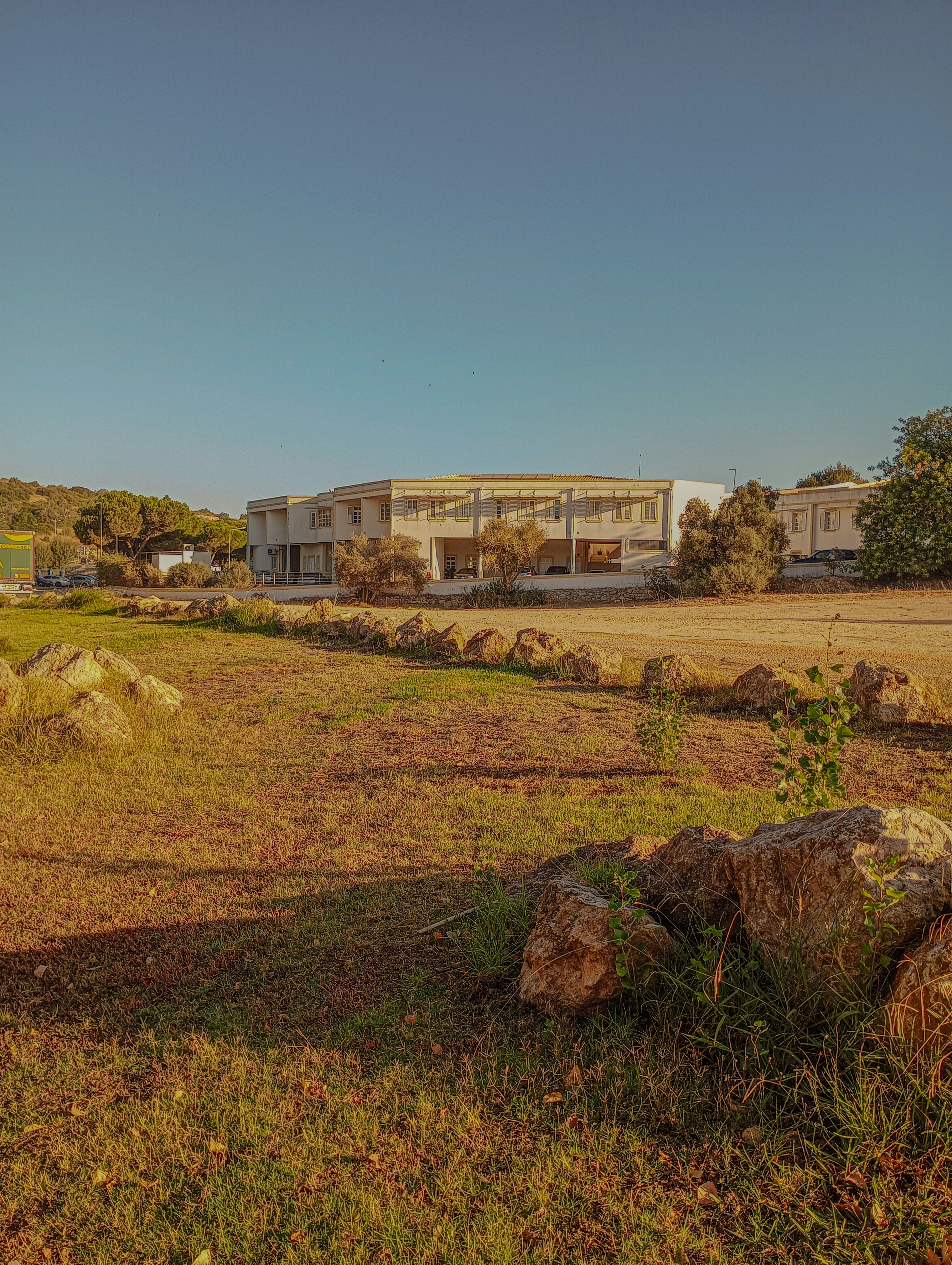 Modern building with grassy field and rocks